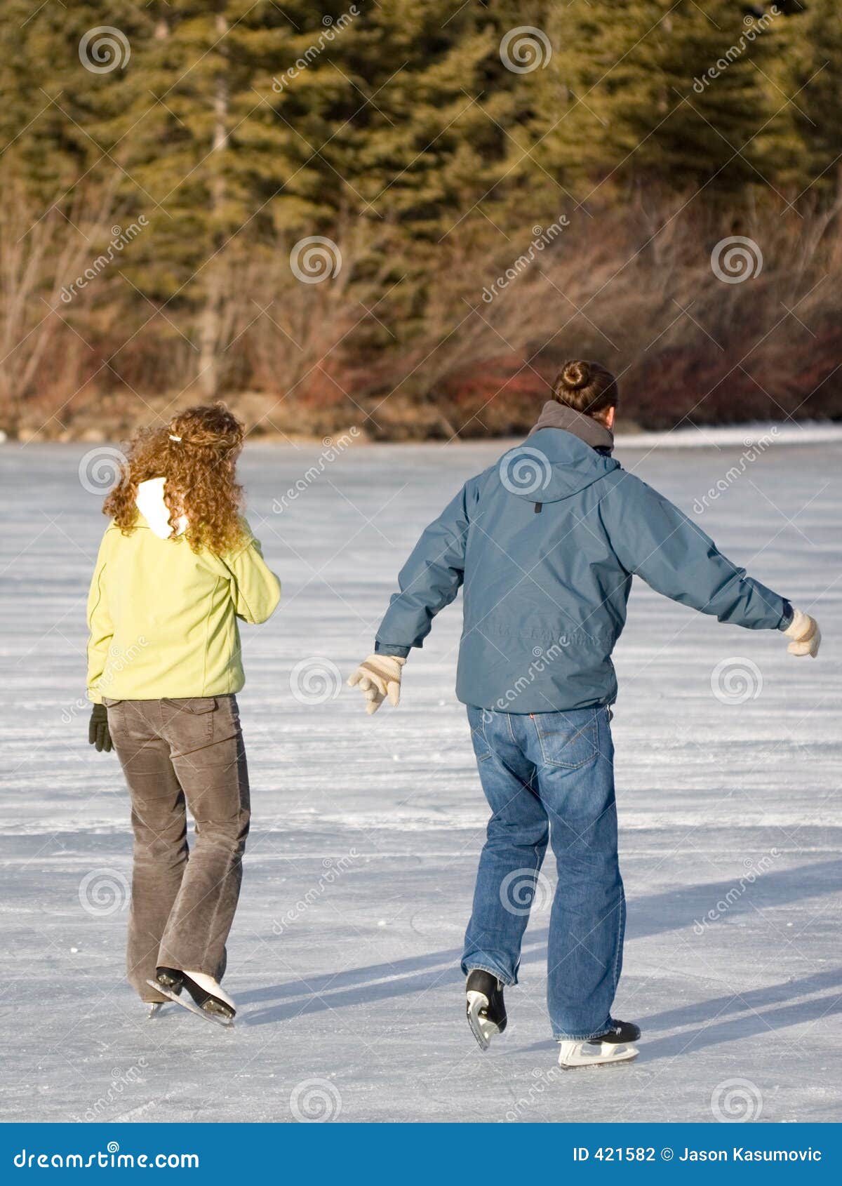Winter Skate stock photo. Image of winter, fitness, skate - 421582