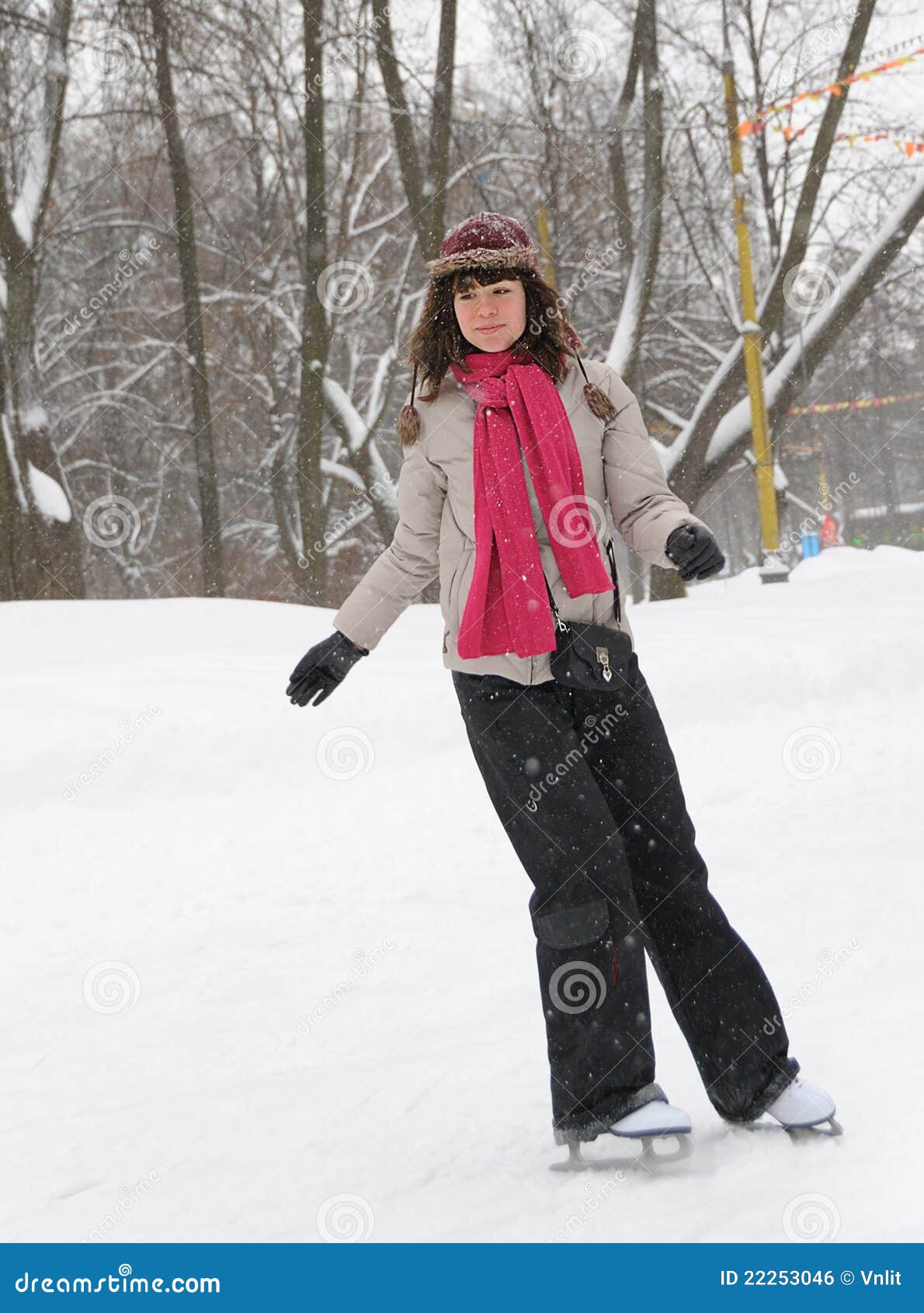 Winter skate rink stock photo. Image of rink, park, comforter - 22253046