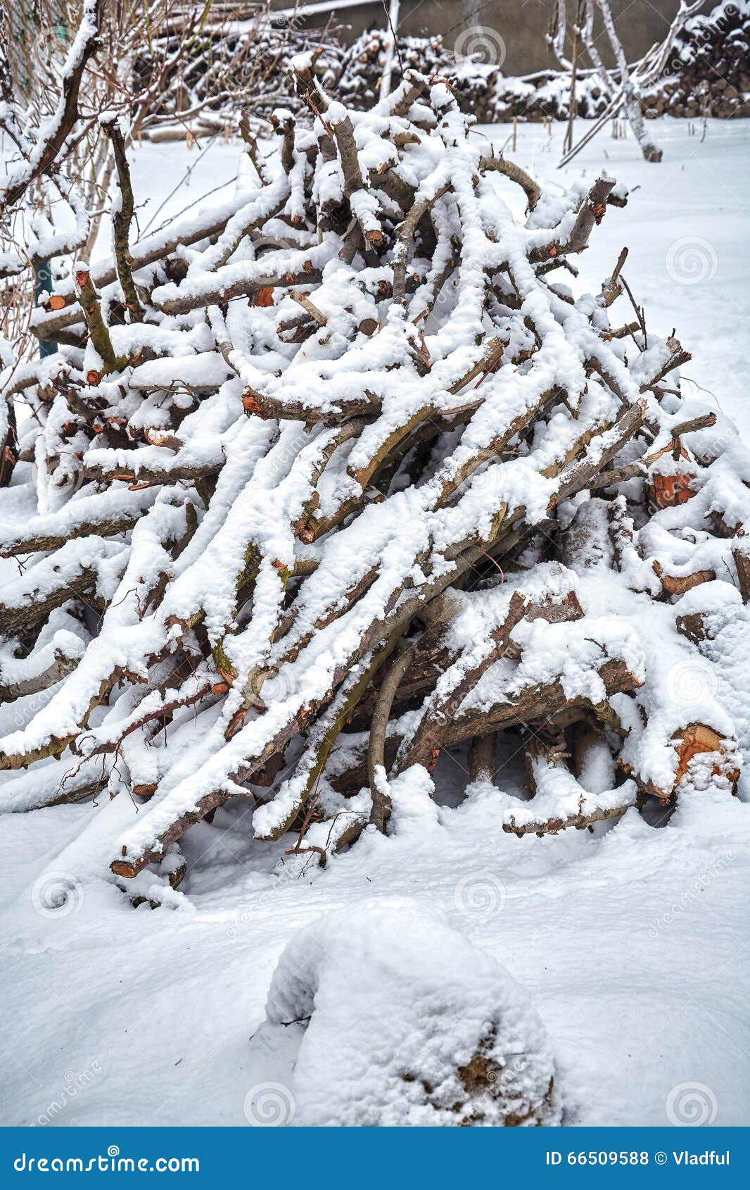 Winter sketches stock photo. Image of cold, shape, firewood - 66509588