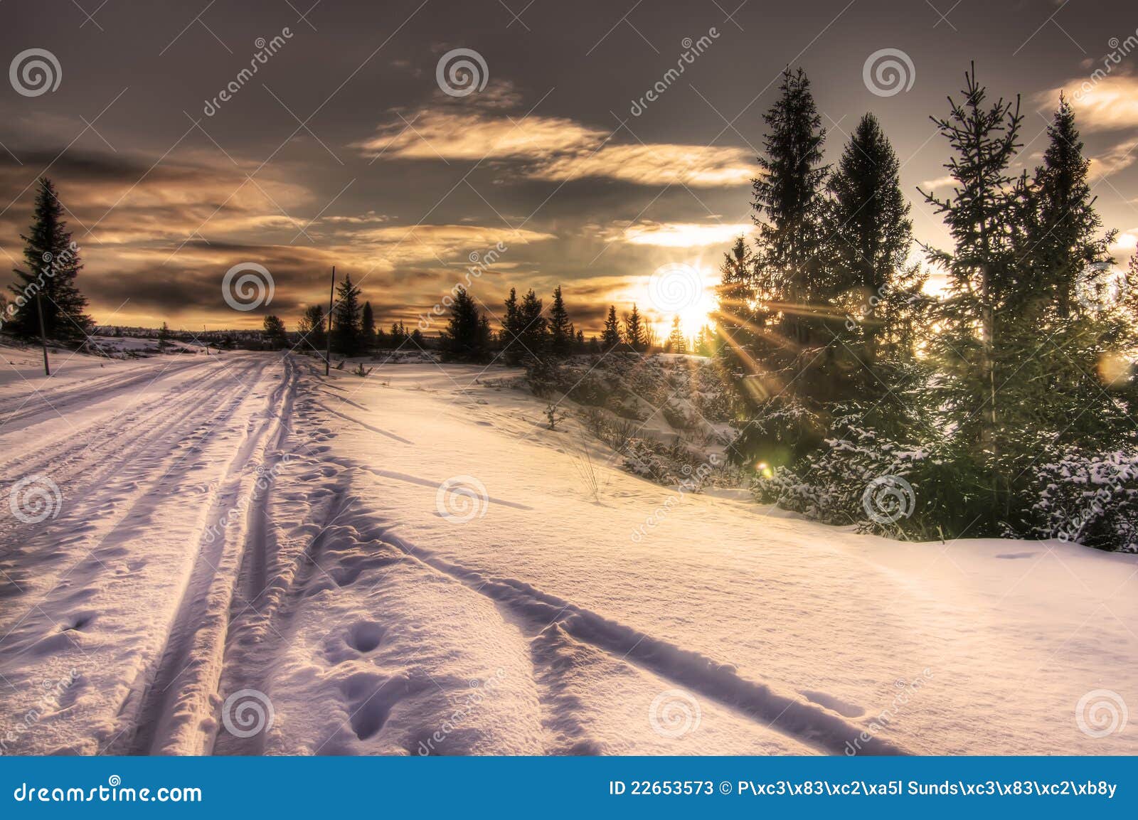 Winter Ski Track in Norwegian Sunset Stock Image - Image of tranquil ...
