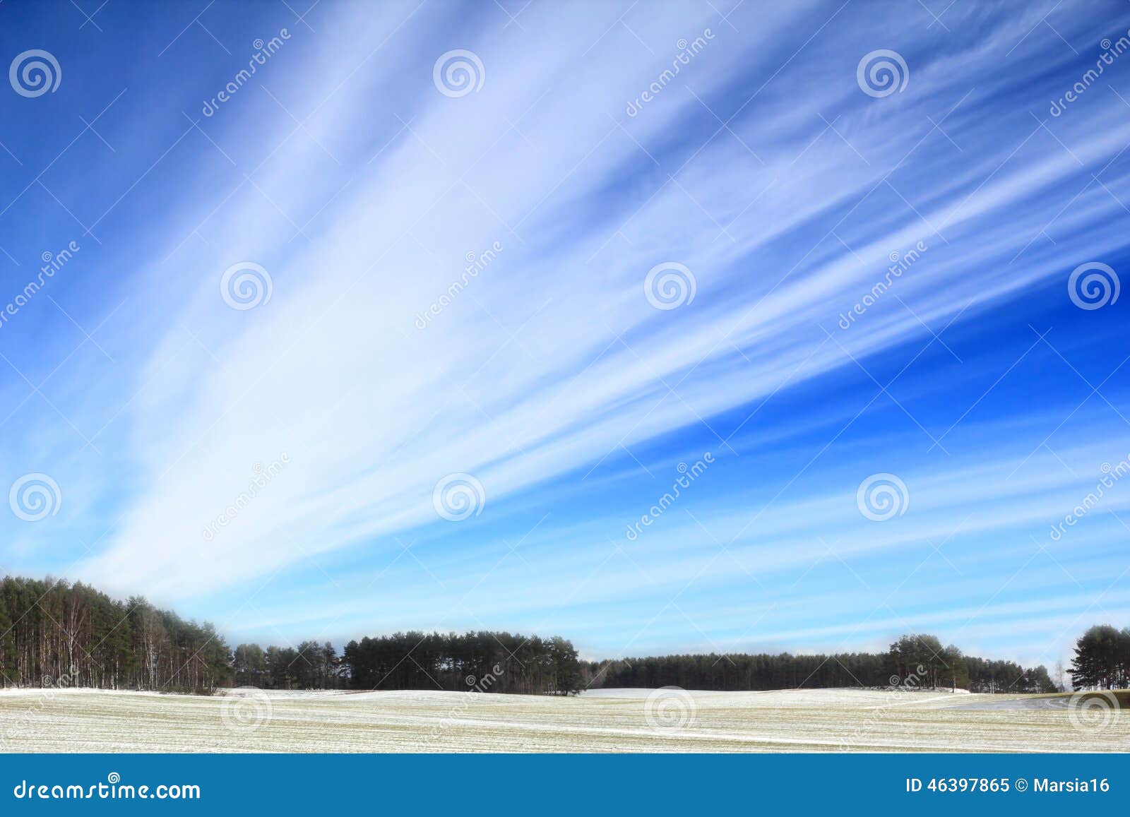 Winter Sky stock image. Image of landscape, trees, forest - 46397865
