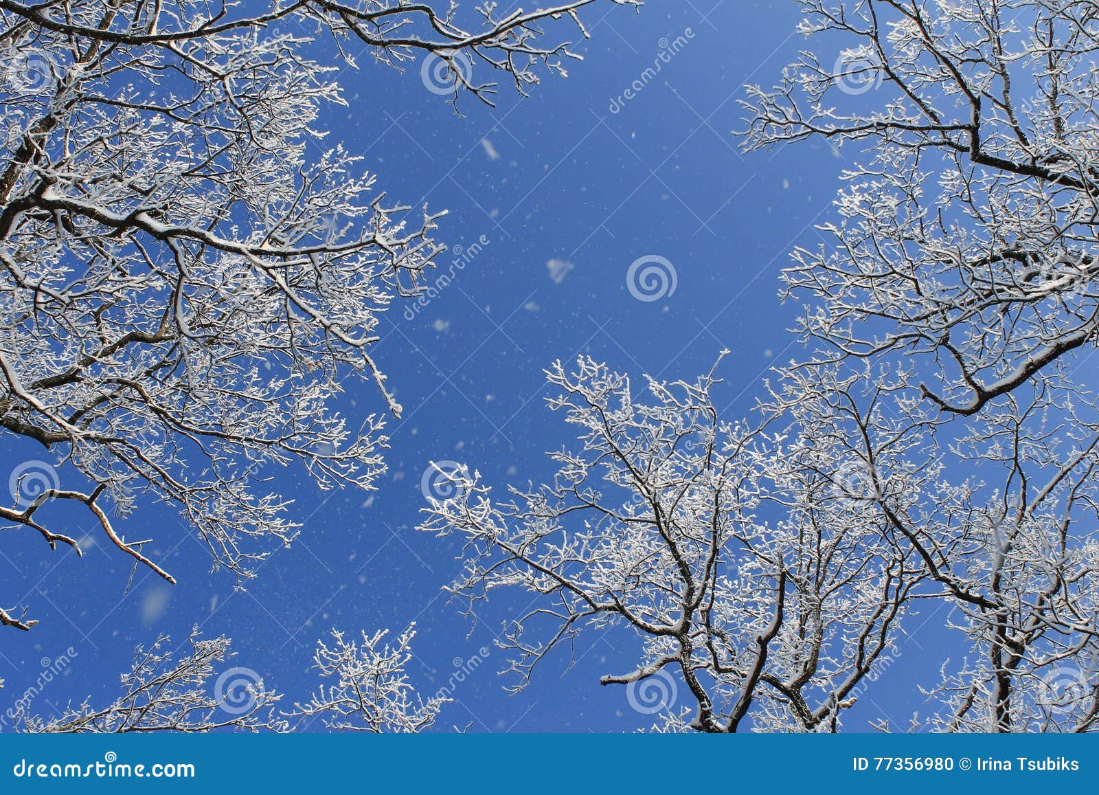 Winter sky stock photo. Image of beauty, azure, frost - 77356980