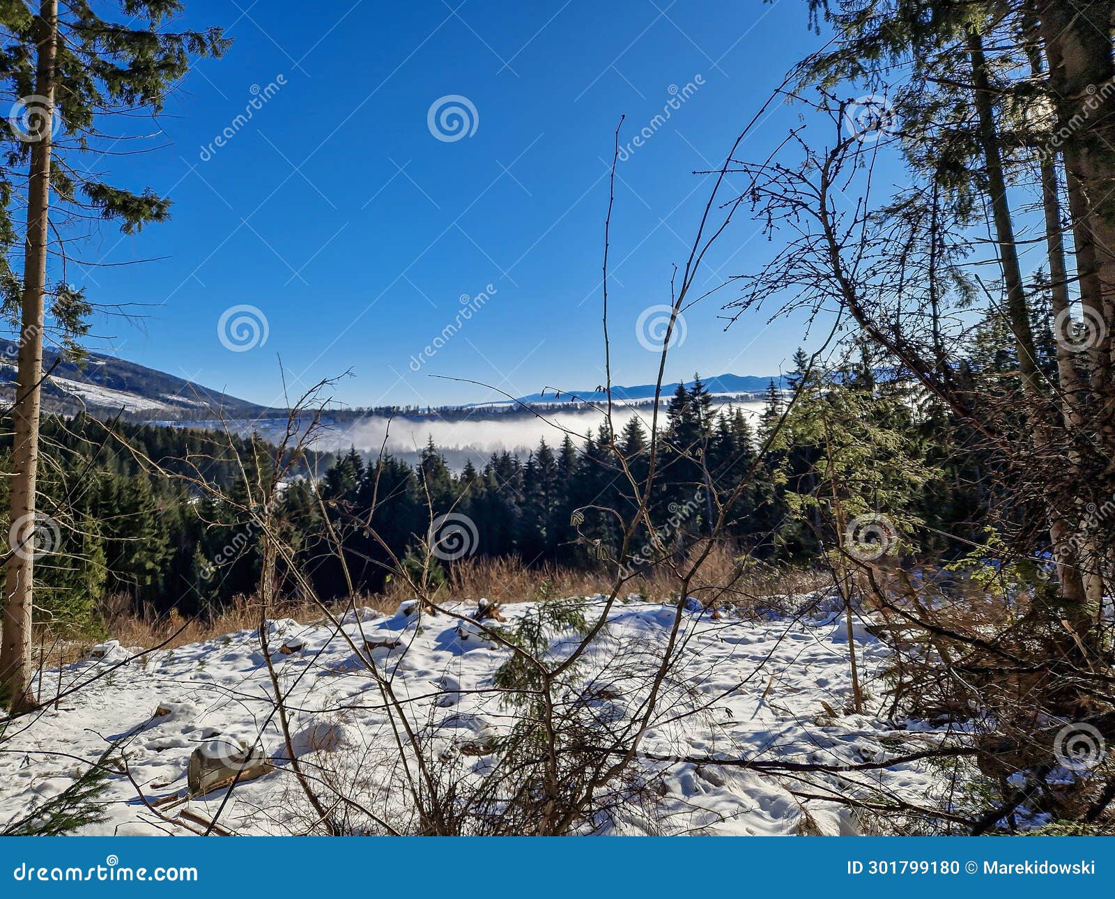 Winter in the Slovak Tatra Mountains Full of Snow. Stock Photo - Image ...