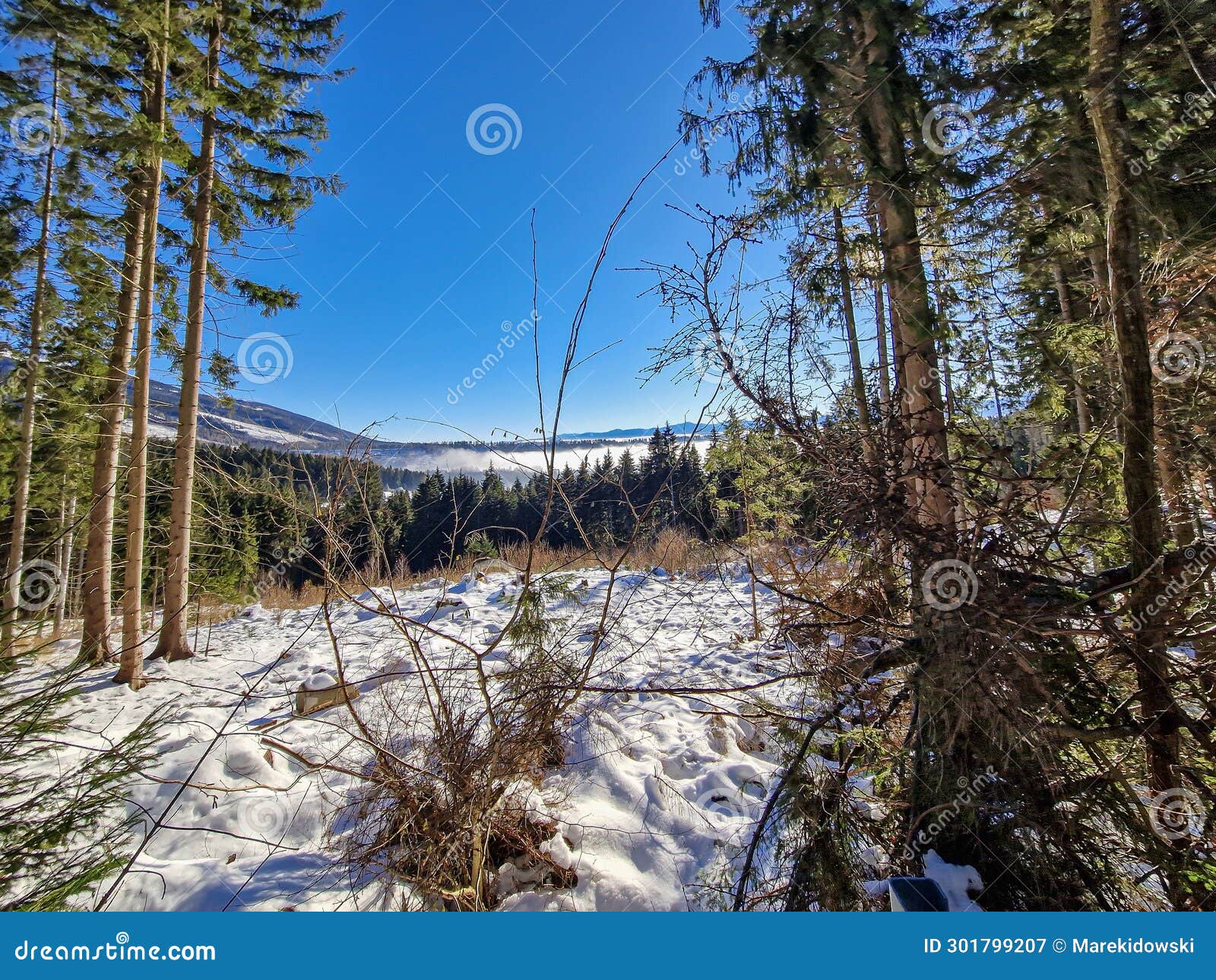 Winter in the Slovak Tatra Mountains Full of Snow. Stock Image - Image ...