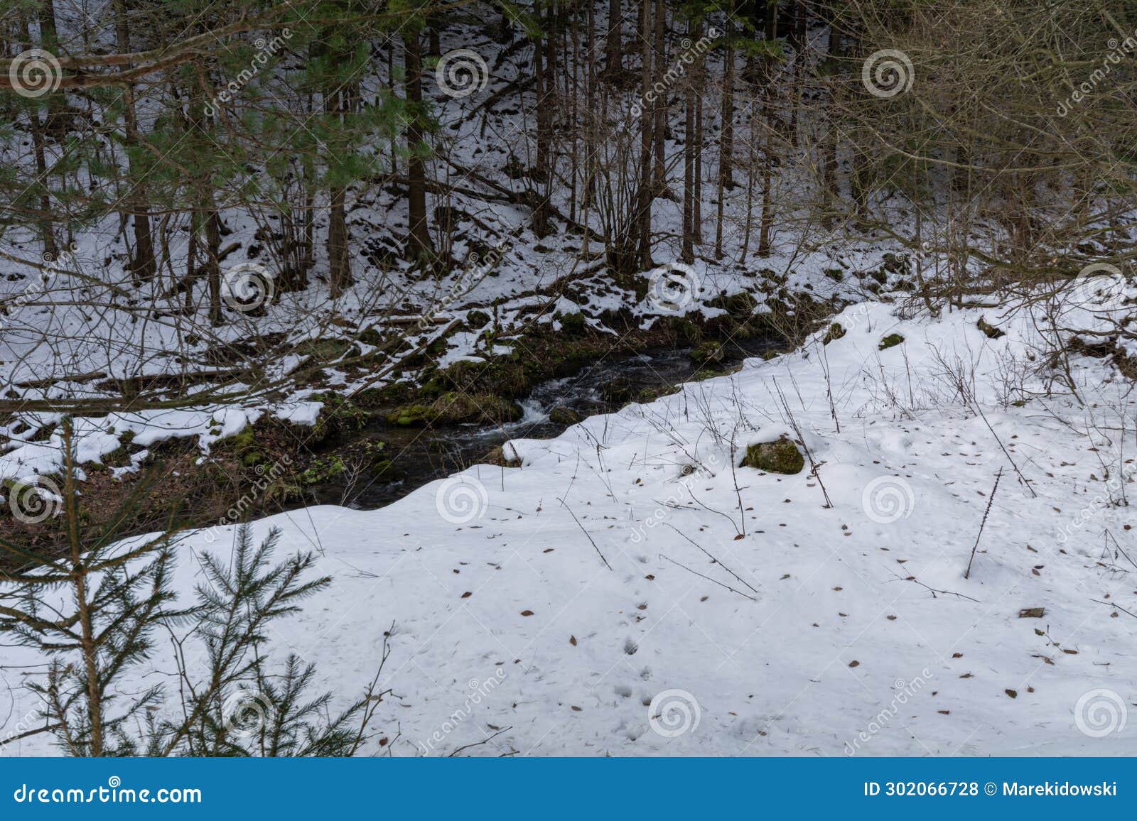 Winter in the Slovak Tatra Mountains Full of Snow. Stock Photo - Image ...