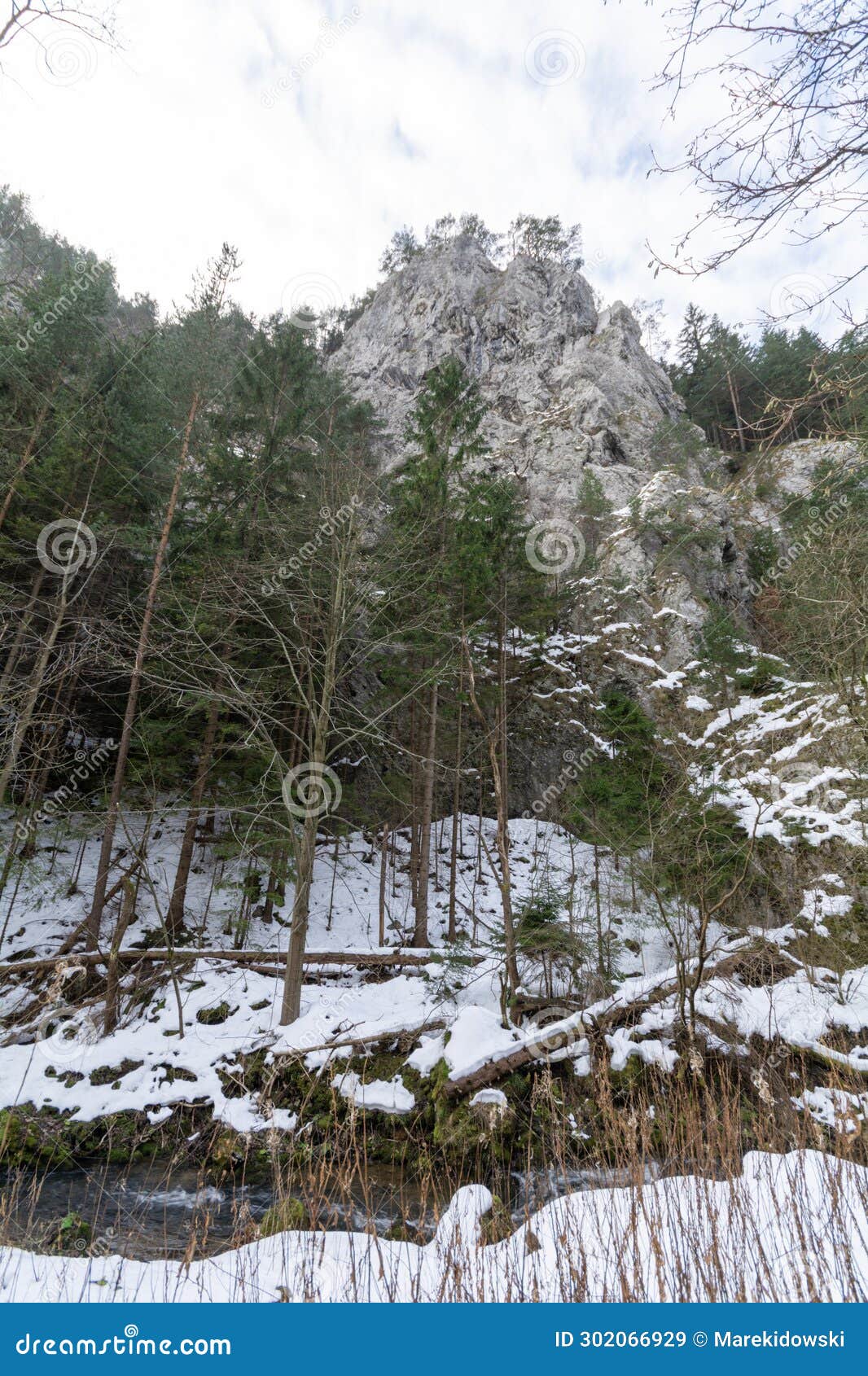 Winter in the Slovak Tatra Mountains Full of Snow. Stock Image - Image ...