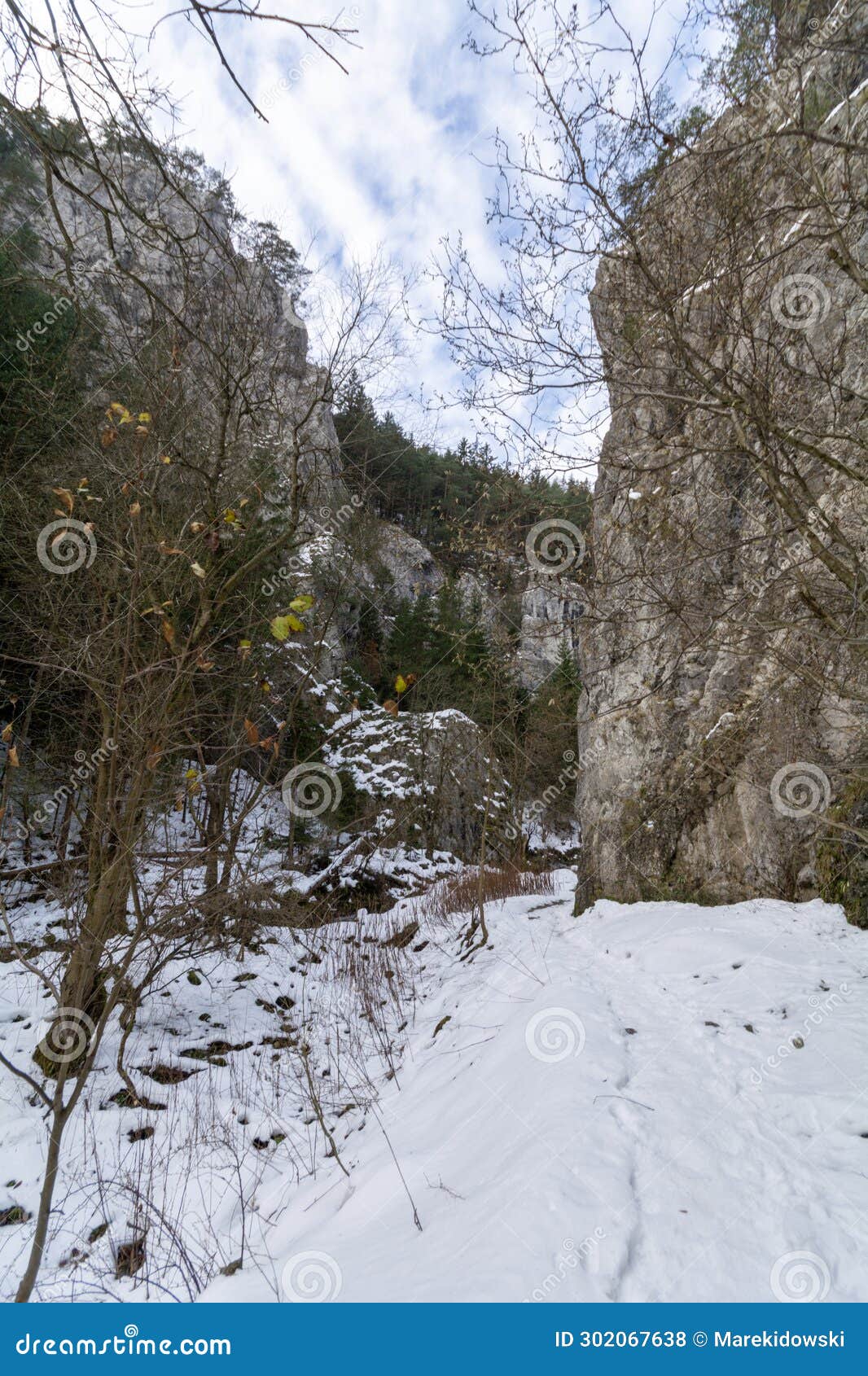 Winter in the Slovak Tatra Mountains Full of Snow. Stock Photo - Image ...