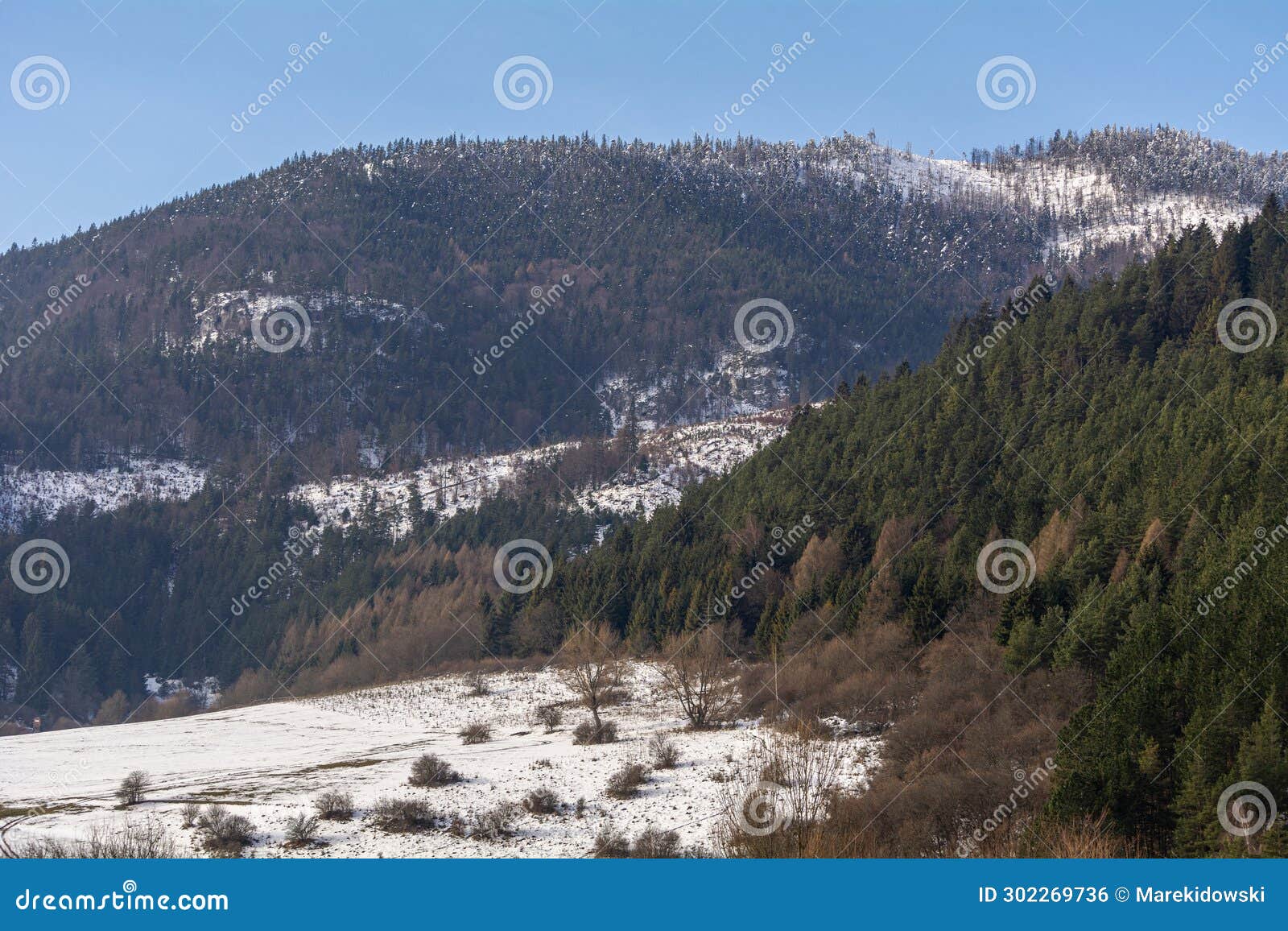Winter in the Slovak Tatra Mountains Full of Snow. Stock Photo - Image ...