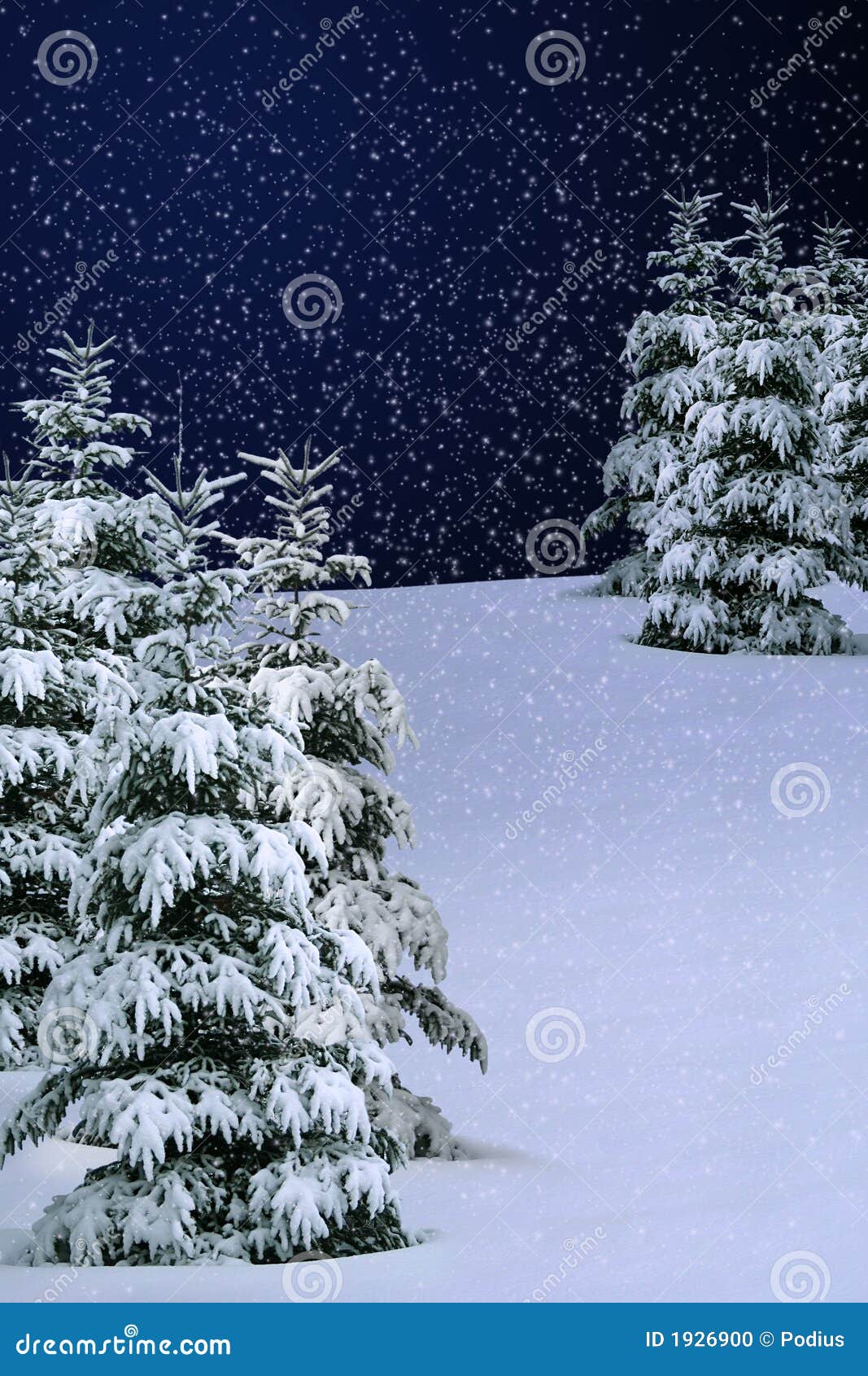 Winter Snow stock photo. Image of shine, crystal, frost - 1926900