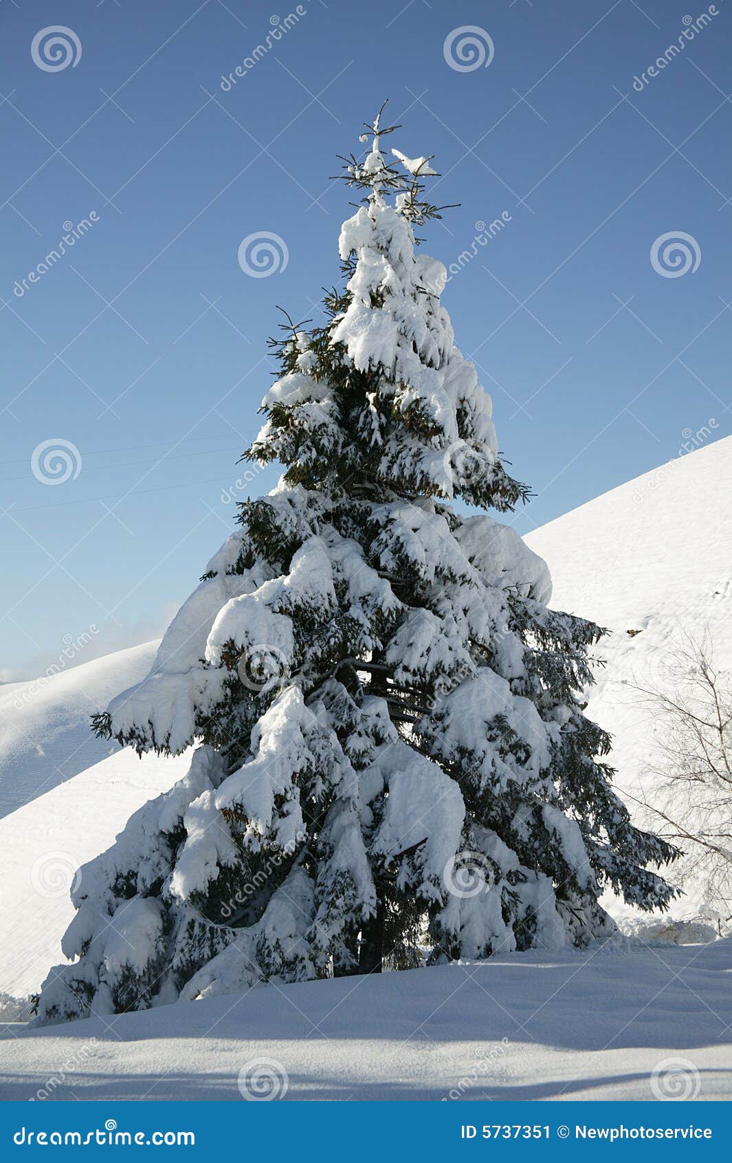 Winter snow stock image. Image of mark, immobility, cold - 5737351