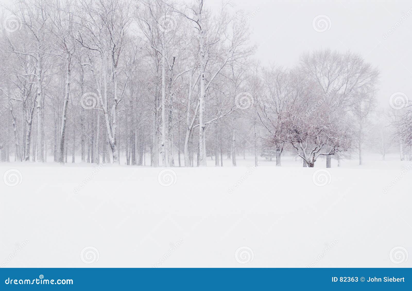 Winter Snow stock image. Image of neutral, snowscape, winter - 82363