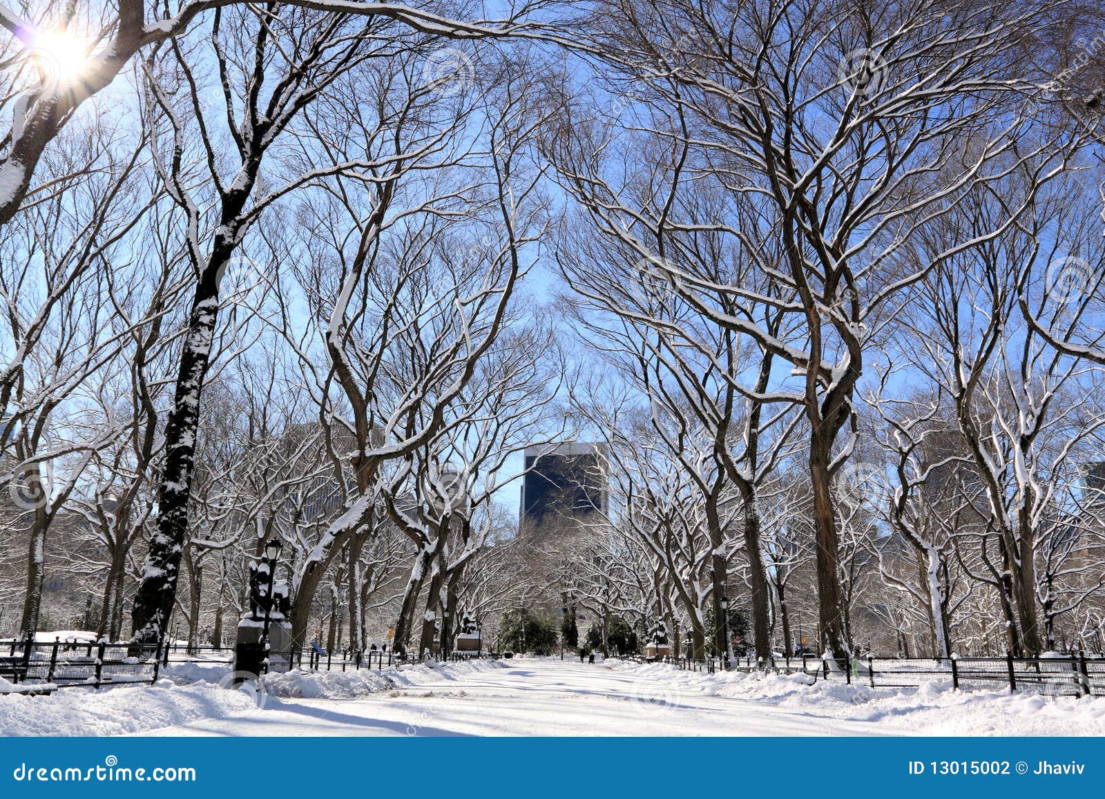 Winter Snow in Central Park Stock Photo - Image of america, cityscape ...