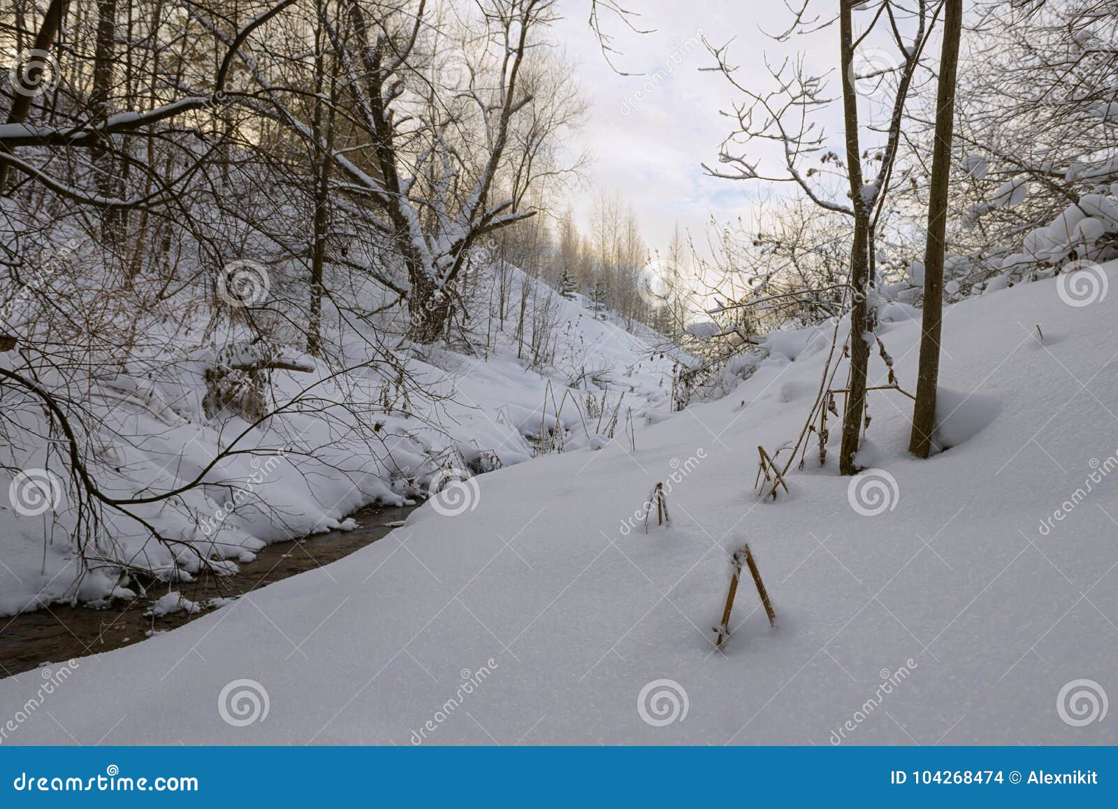 Winter Snow-covered Forest Ravine Stock Photo - Image of ravine, rime ...