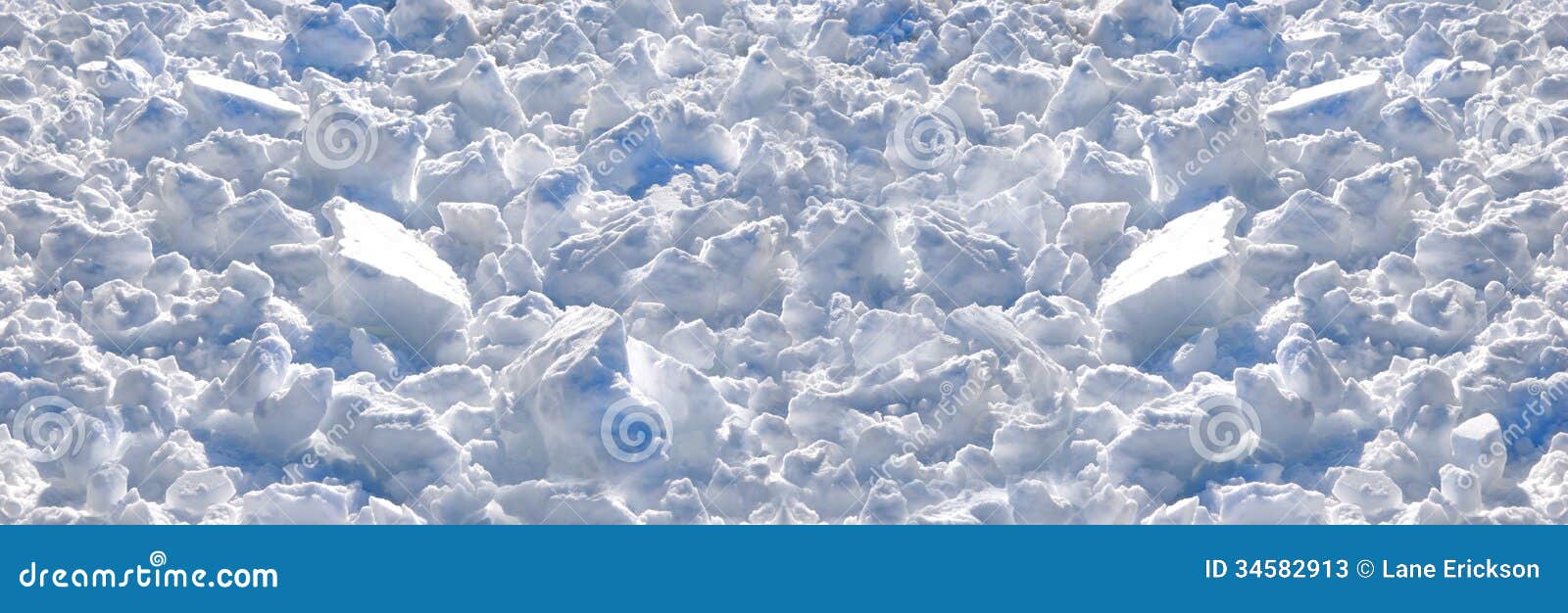 Winter Snow stock image. Image of closeup, plants, frosty - 34582913