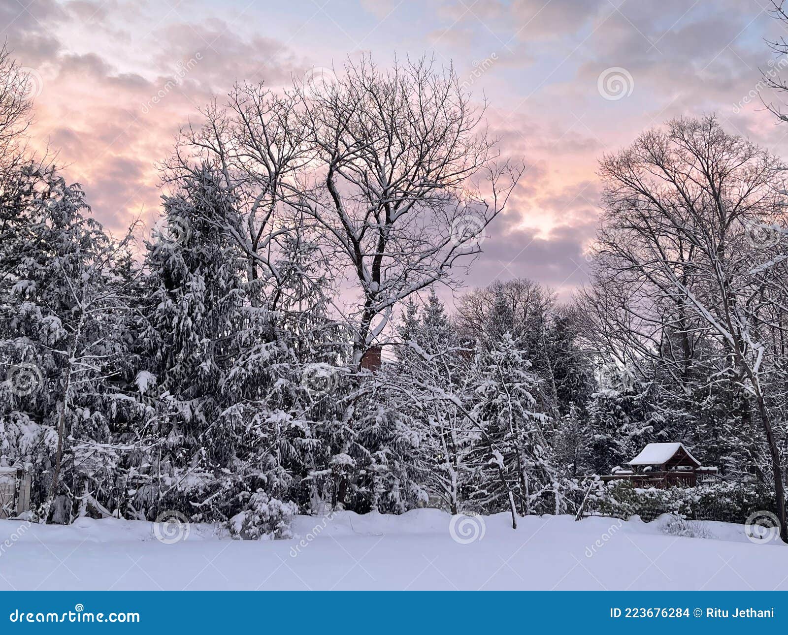Winter Snow Day in Connecticut Stock Photo - Image of outdoors ...