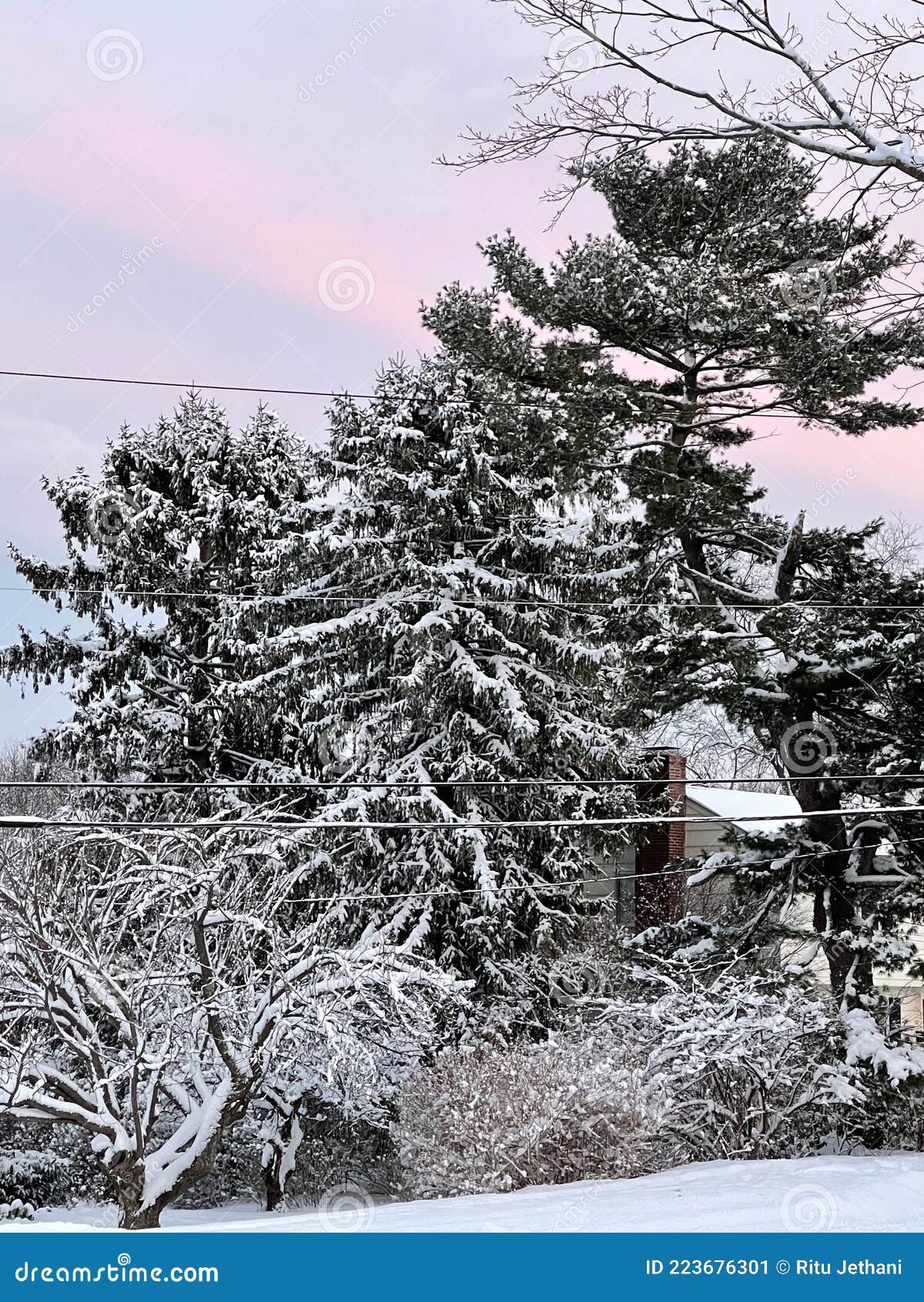 Winter Snow Day in Connecticut Stock Image - Image of pristine, evening ...
