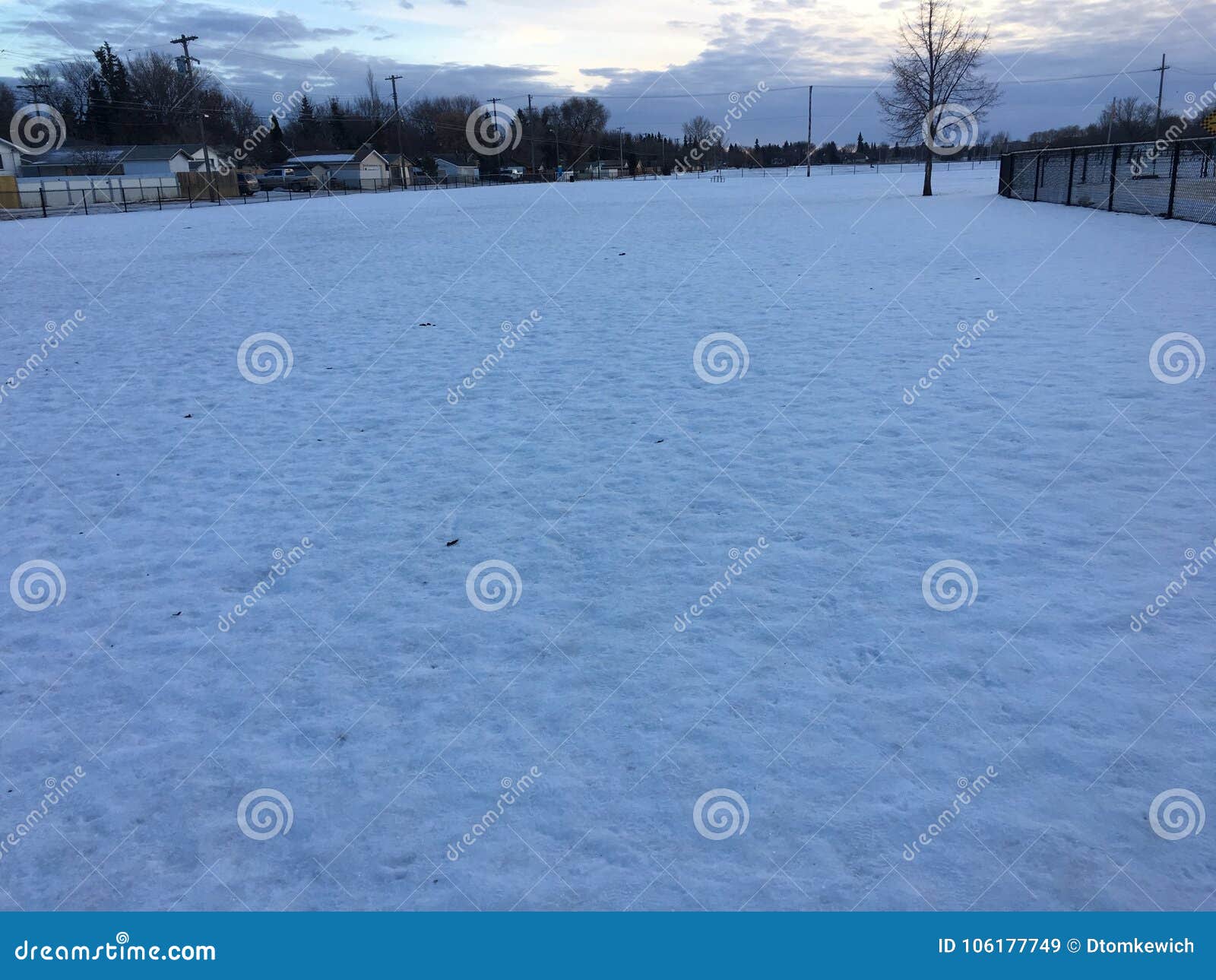 Winter snow in the field stock image. Image of field - 106177749