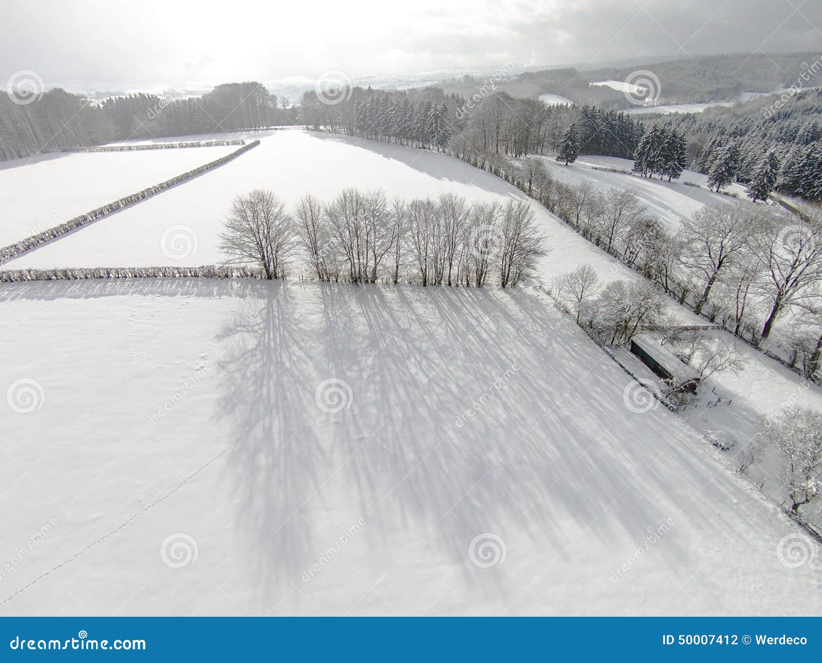 Winter Snow Fields Landscape Stock Photo - Image of fields, bright ...