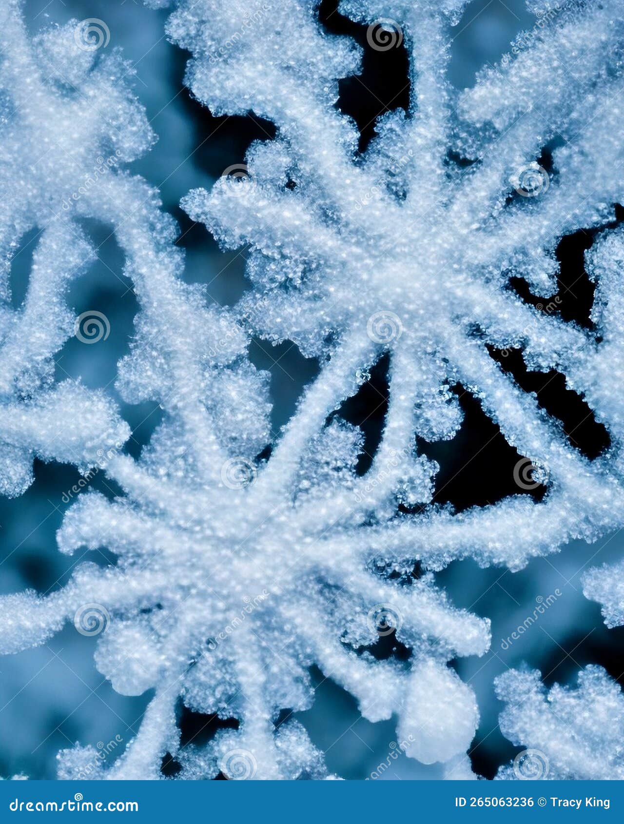 Winter Snow Flakes during Winter Stock Photo - Image of snowflake ...