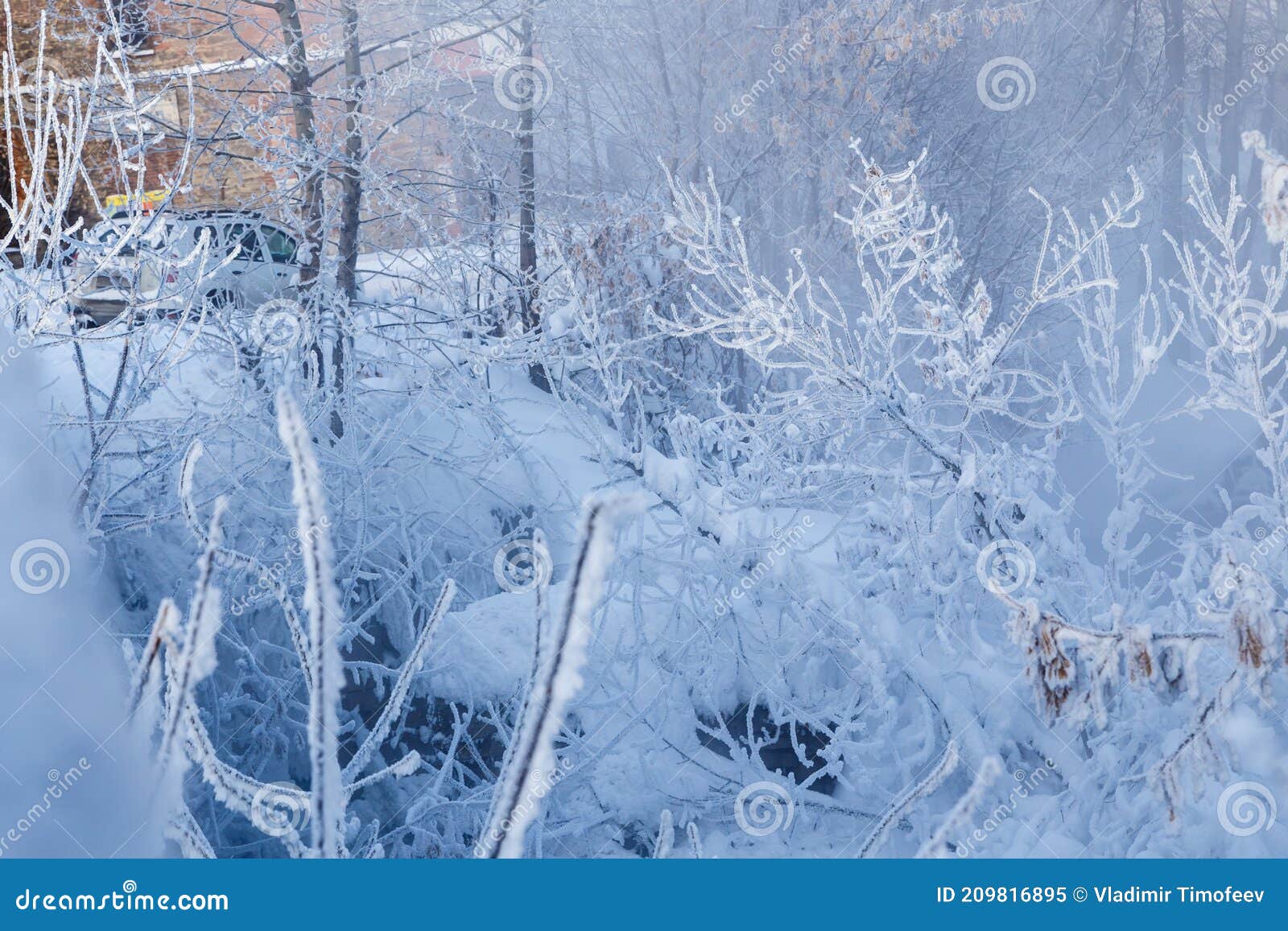 Winter Snow Forest River Landscape. Forest River in Winter. Winter ...
