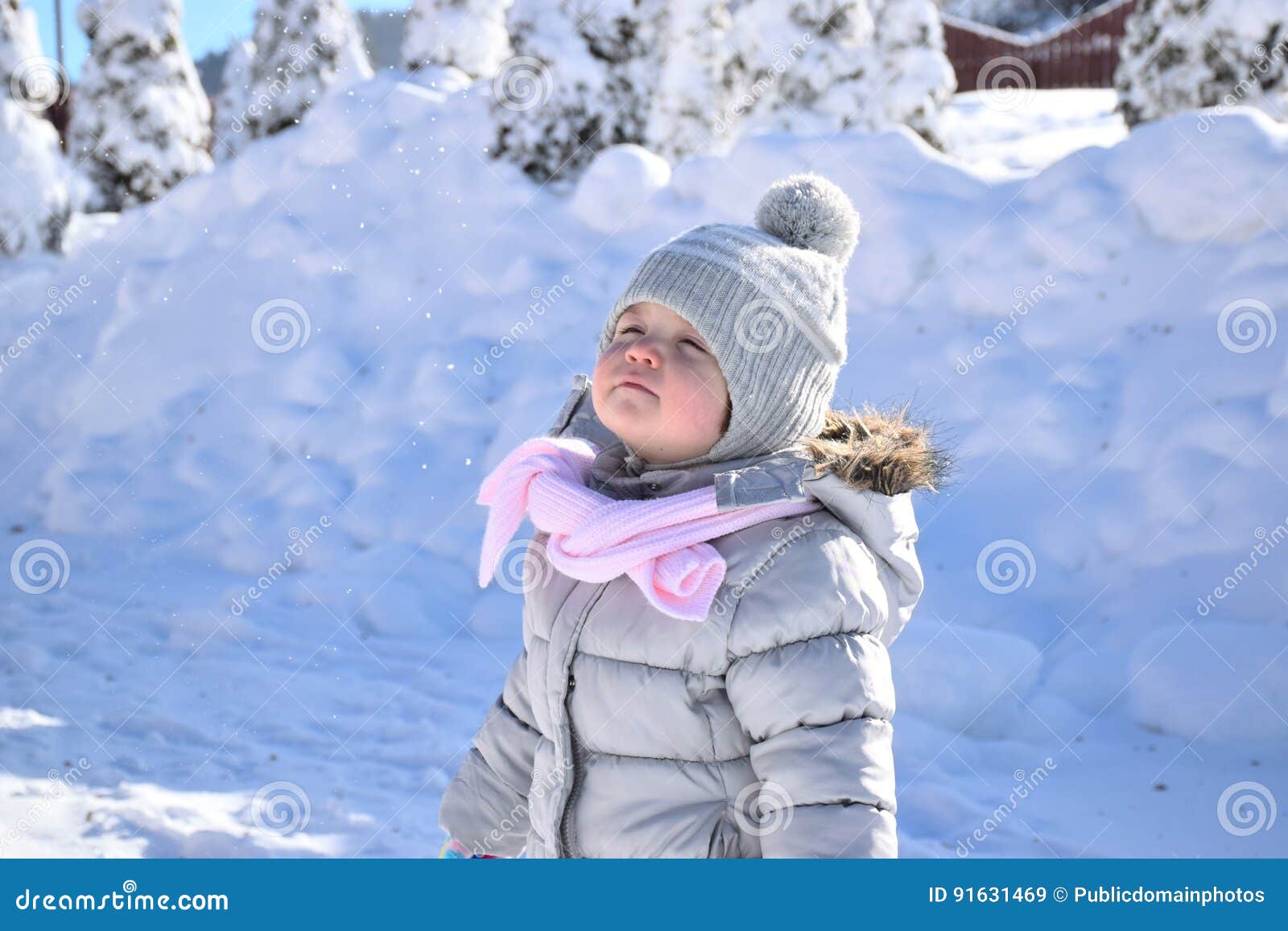 Winter, Snow, Freezing, Fun Picture. Image: 91631469