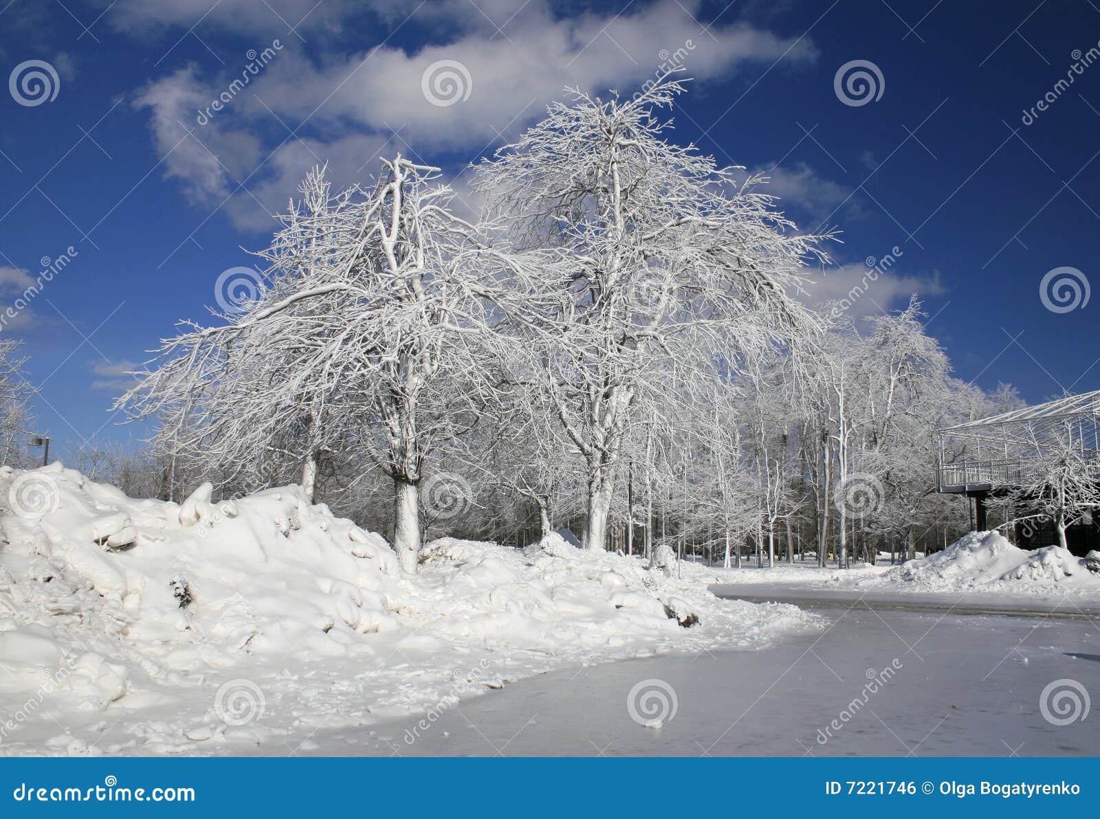 Winter, Snow and Ice Covered Trees, Park Stock Photo - Image of year ...