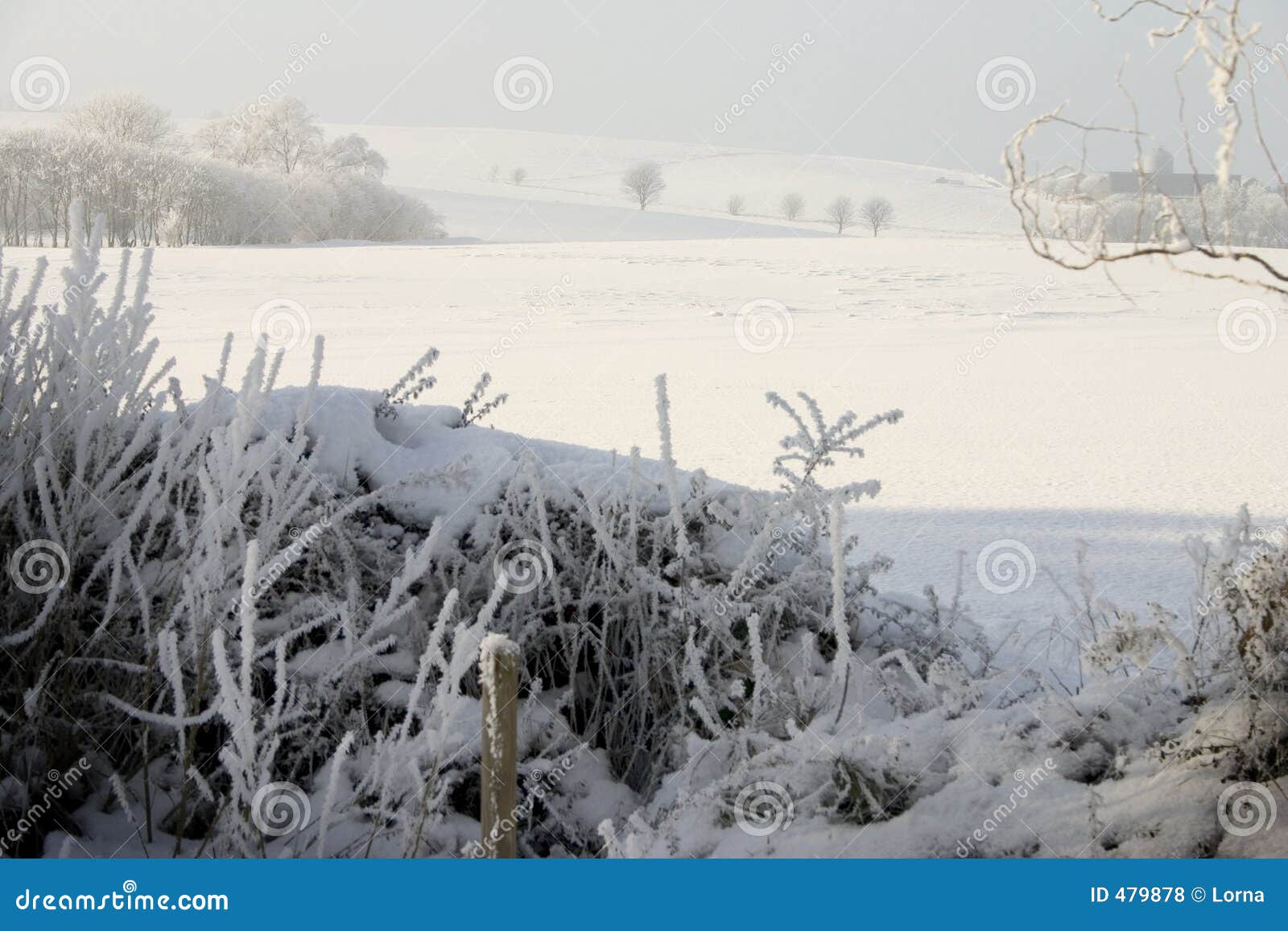 Winter snow landscape haze stock photo. Image of countryside - 479878