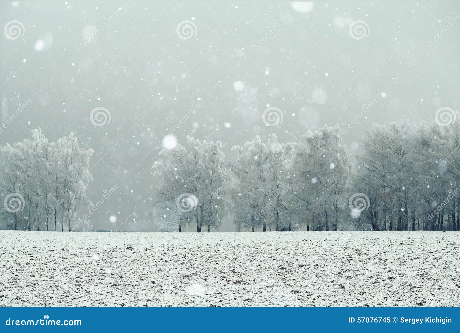 Winter snow landscape stock image. Image of falling, snowflakes - 57076745