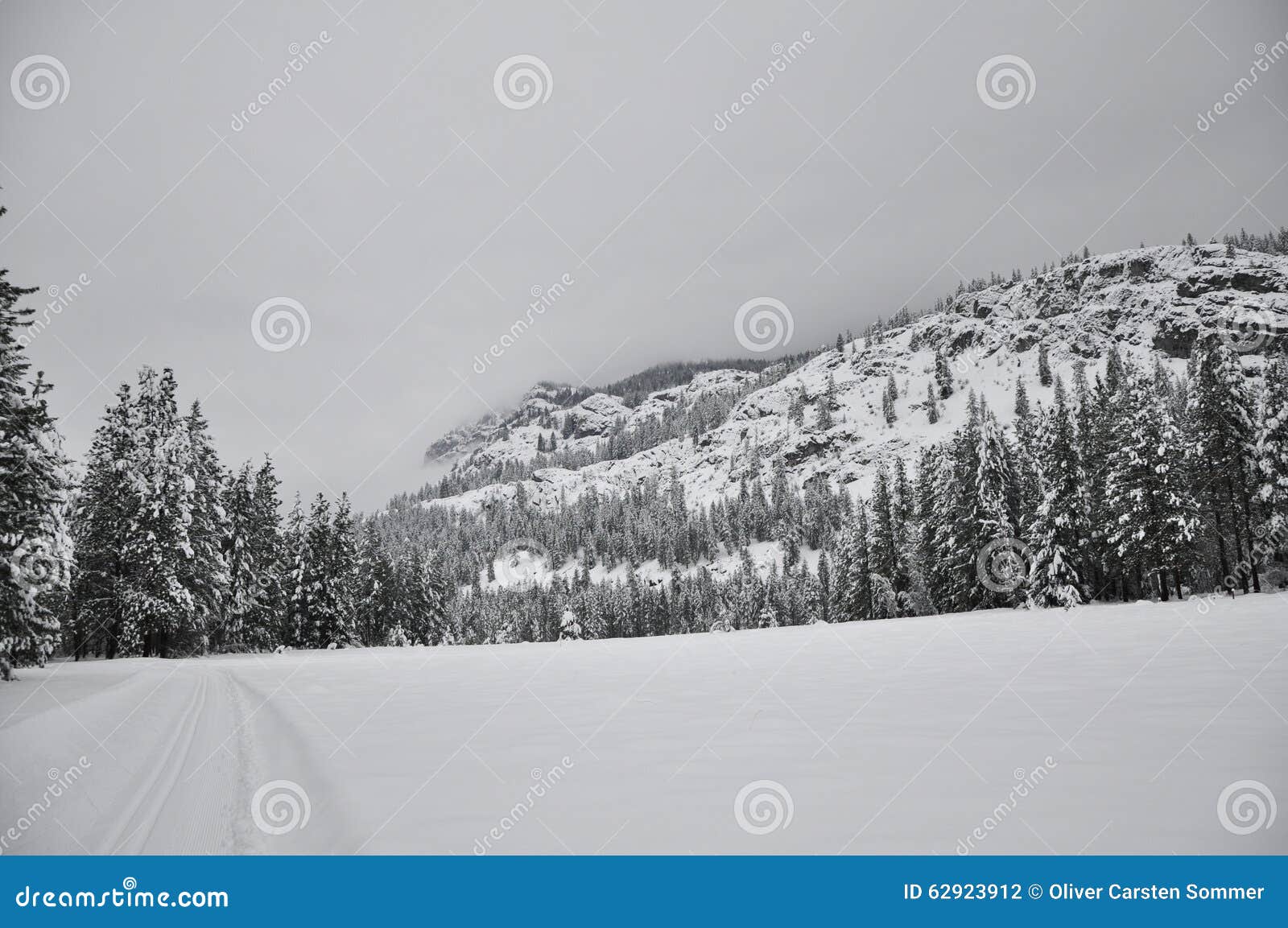 Winter Snow landscape stock photo. Image of snow, scene - 62923912