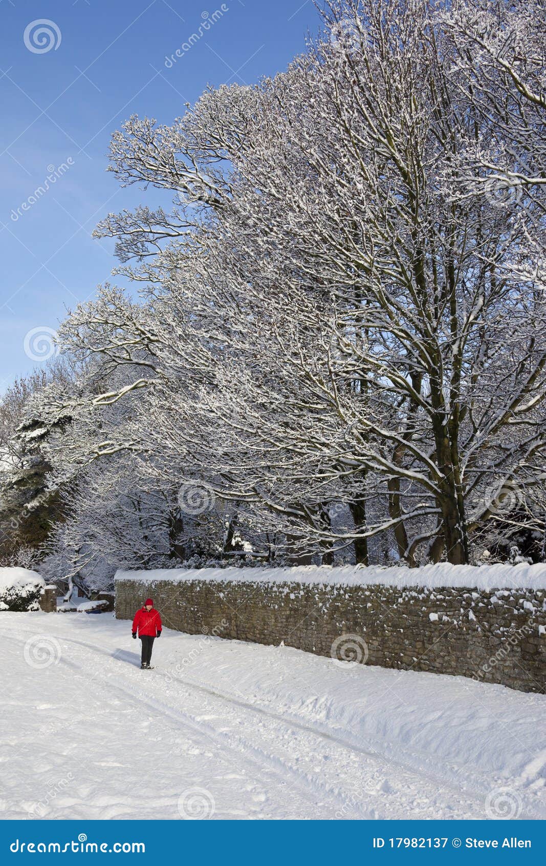 Winter Snow in Northern England Stock Image - Image of frost, weather ...