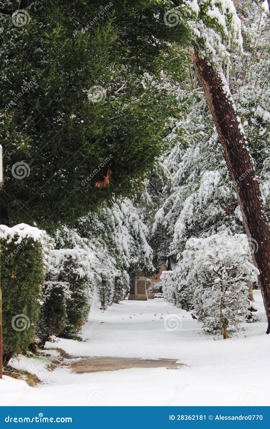 Winter snow in park stock image. Image of attraction - 28362181