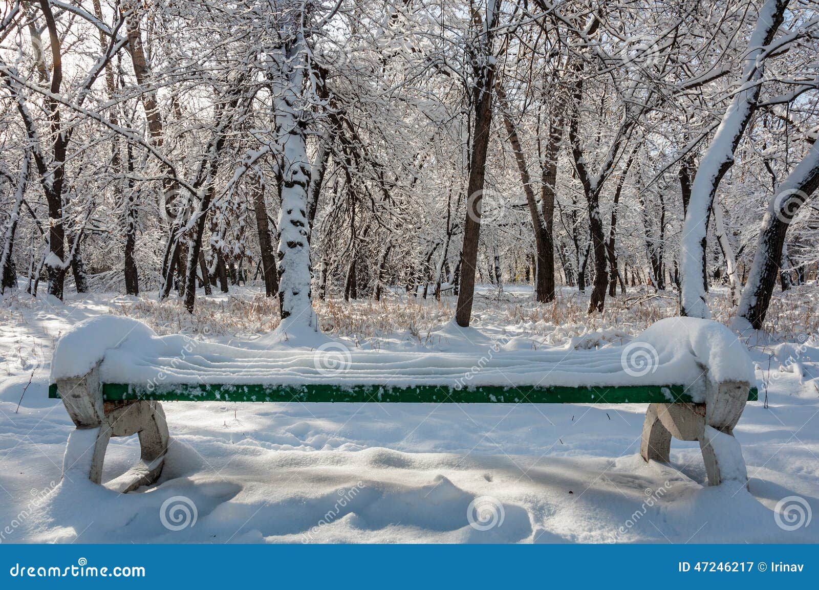 Winter snow park trees stock image. Image of sunny, grove - 47246217