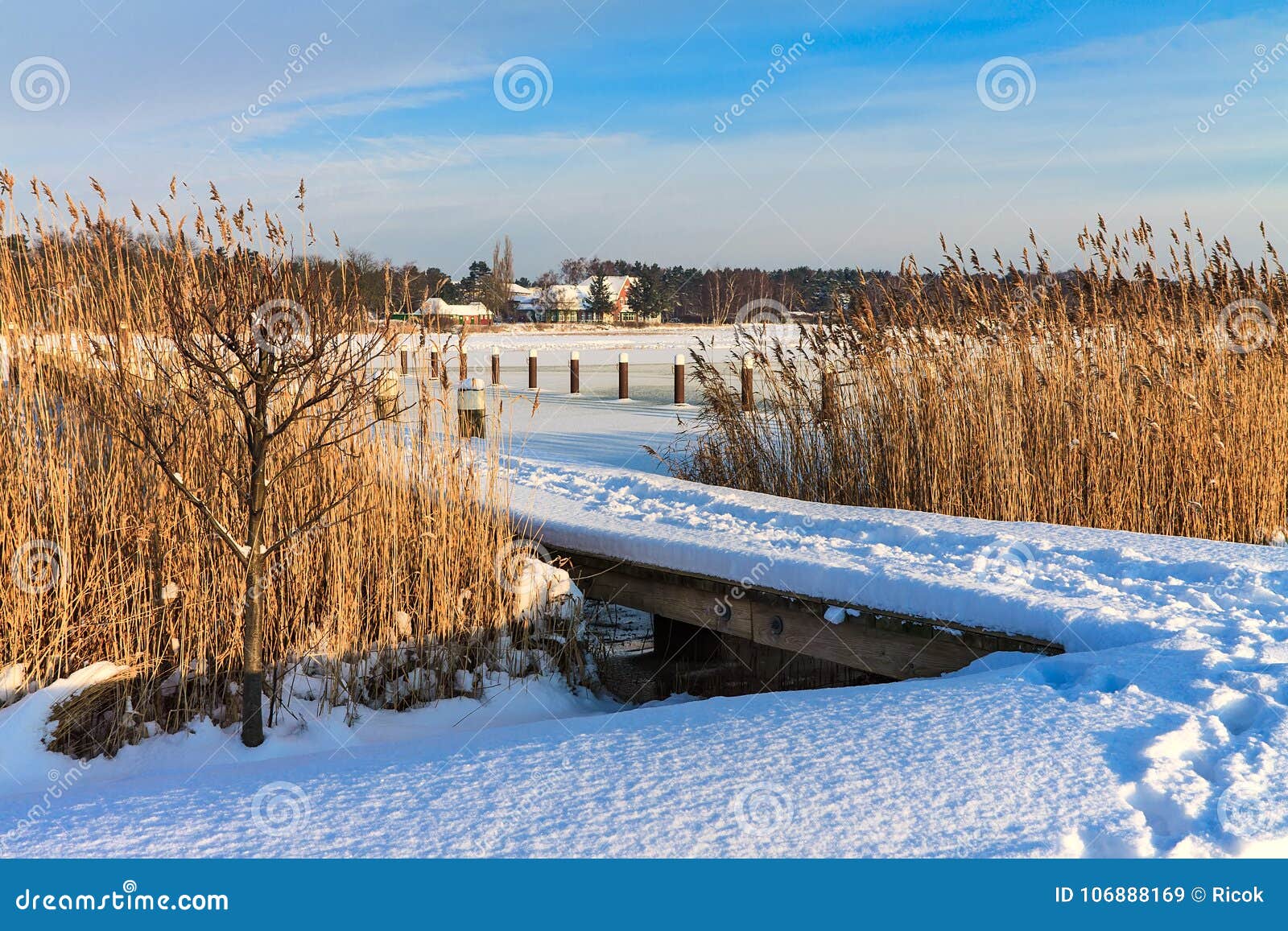 Winter with Snow at the Port in Prerow, Germany Stock Image - Image of ...