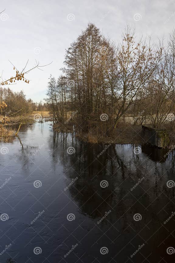 Winter without Snow and a River in a Forest with Bare Trees Stock Image ...