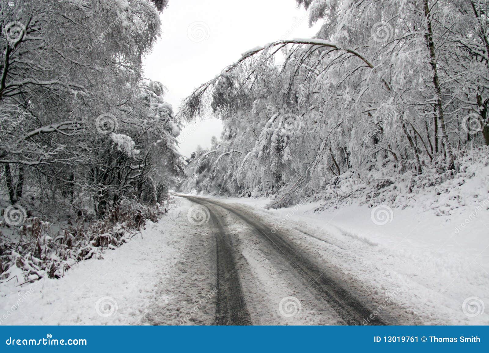 Winter Snow and a Road Going through Forest Stock Image - Image of ...