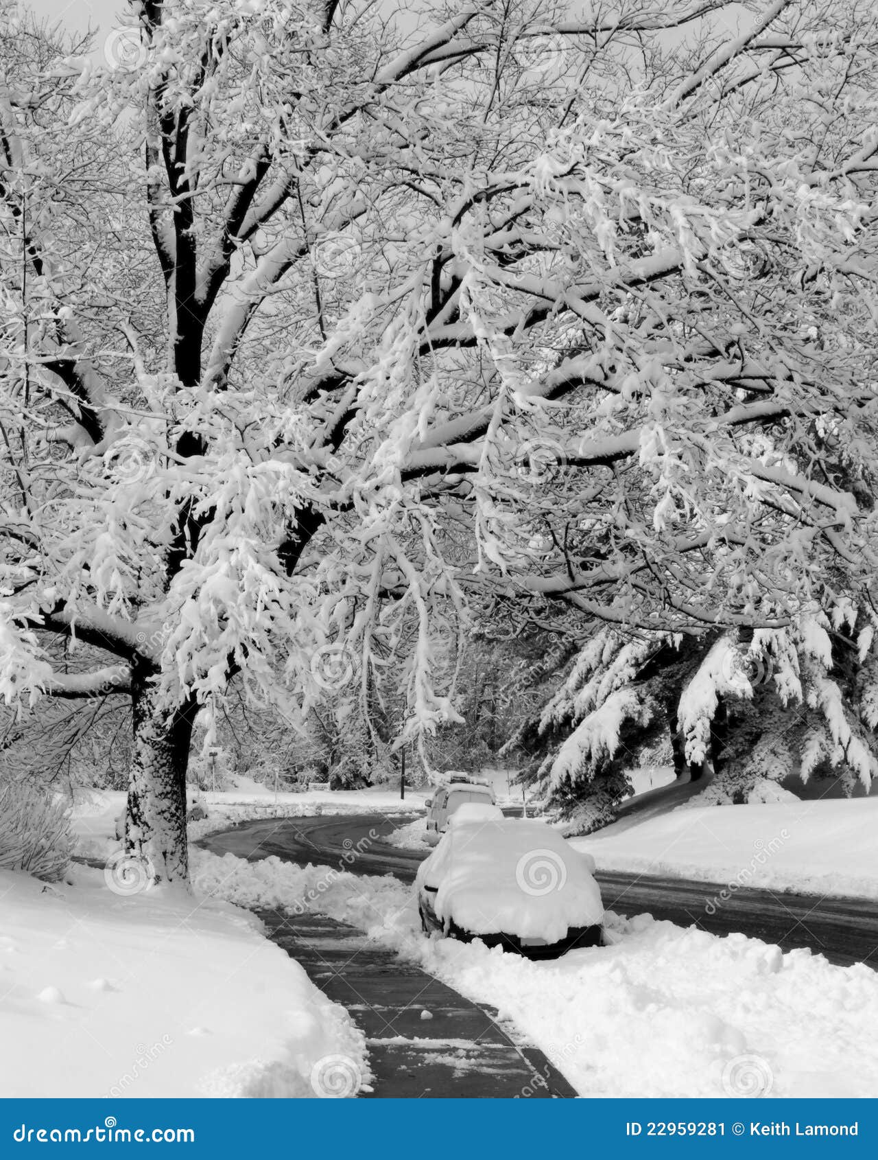 Winter snow road scene stock image. Image of black, winter - 22959281