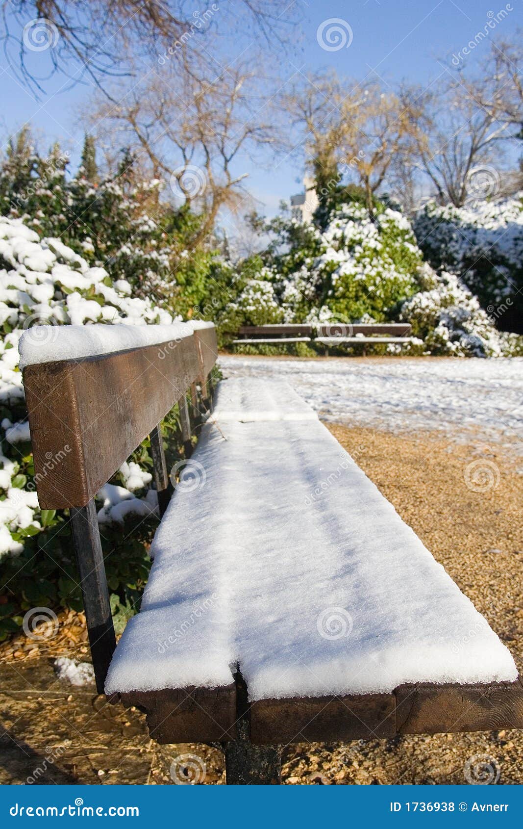 Winter snow scene stock photo. Image of forest, country - 1736938