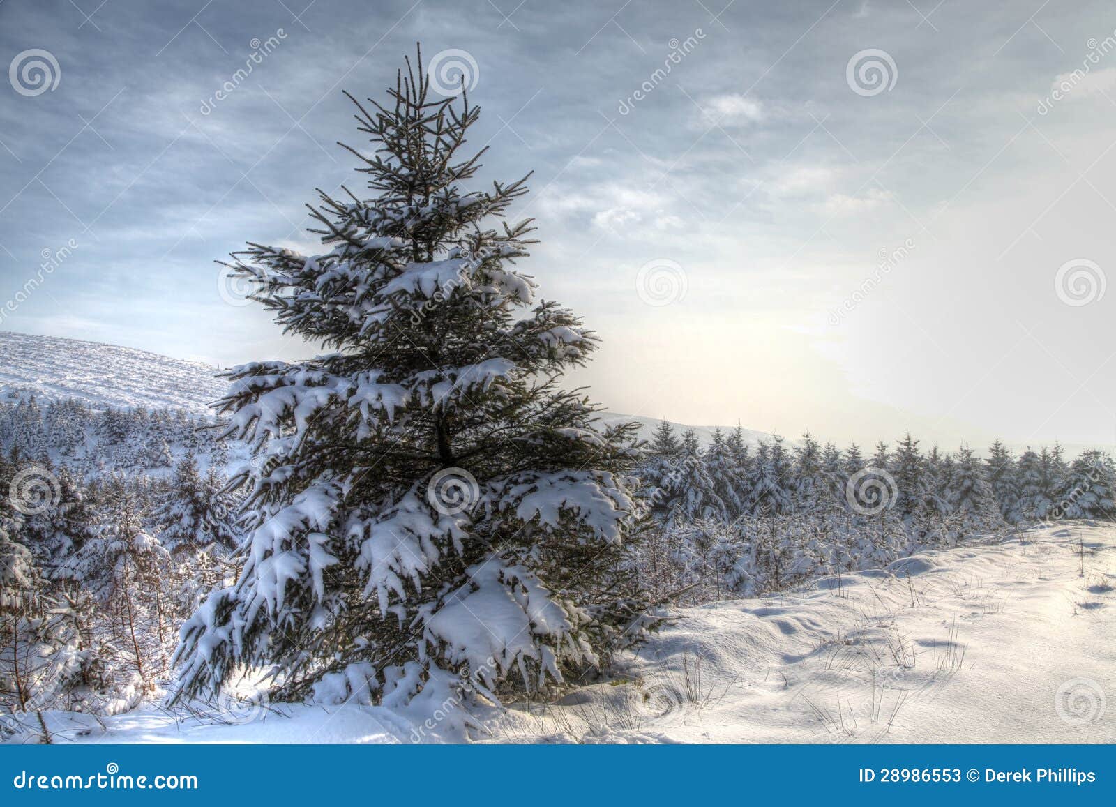 Winter Snow Scene HDR stock image. Image of winter, landscape - 28986553