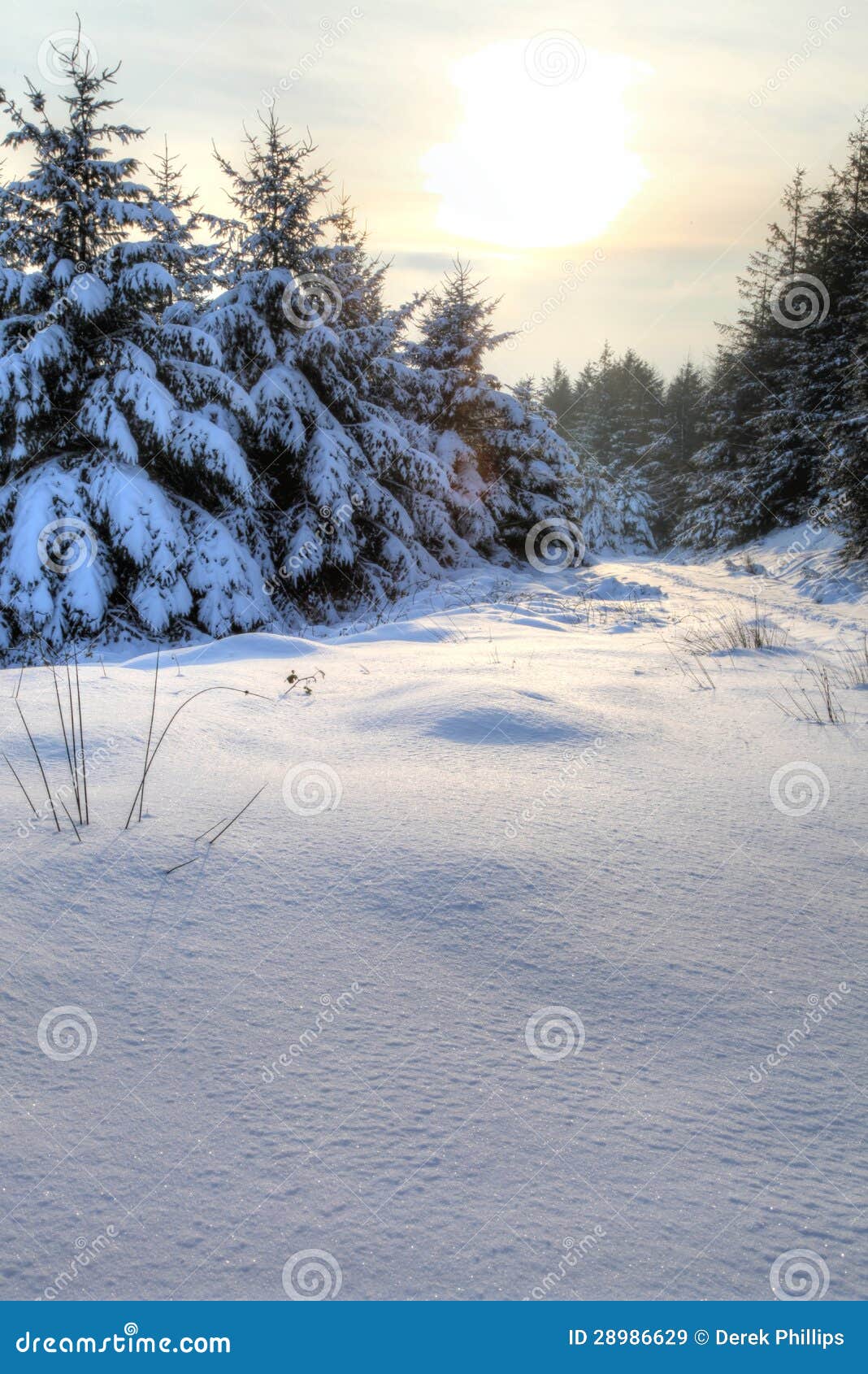 Winter Snow Scene HDR stock image. Image of cloud, snow - 28986629