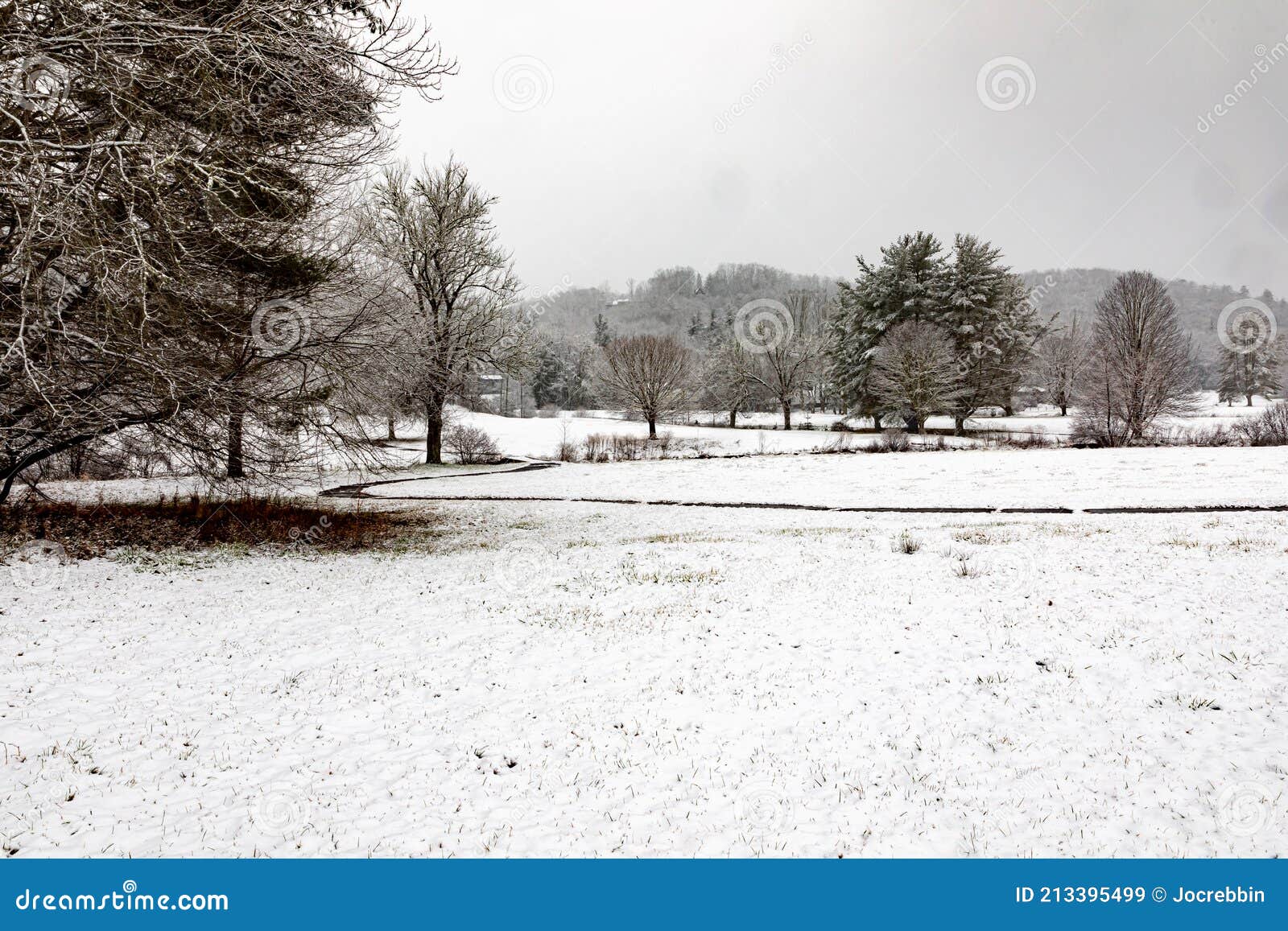 Winter Snow Scene of Meadow, Pathways and Trees Stock Image - Image of ...