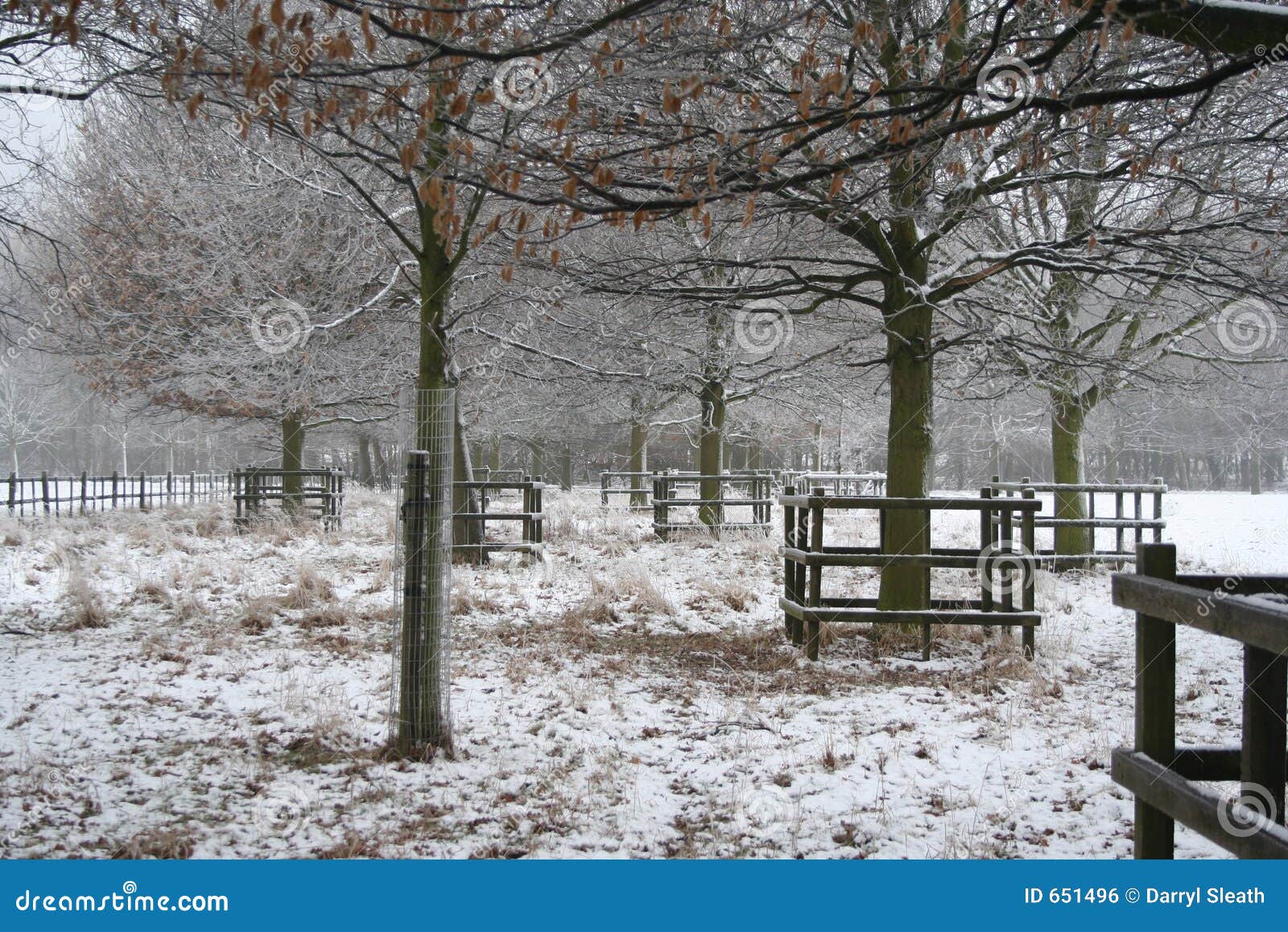 Winter Snow Scene in Nottinghamshire, UK. Stock Photo - Image of nature ...