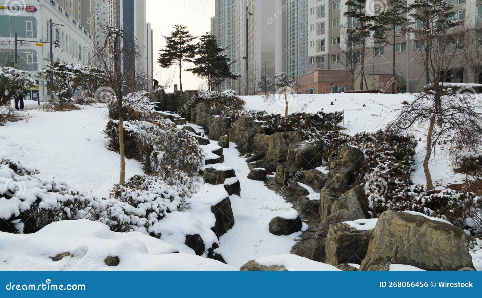 Winter Snow in Seoul stock photo. Image of snowy, city - 268066456