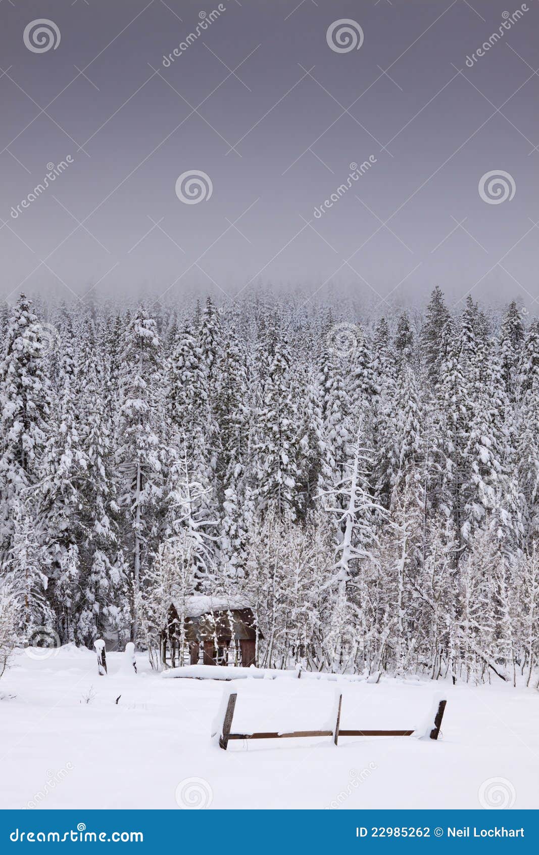 Winter Snow Shack stock photo. Image of shelter, california - 22985262