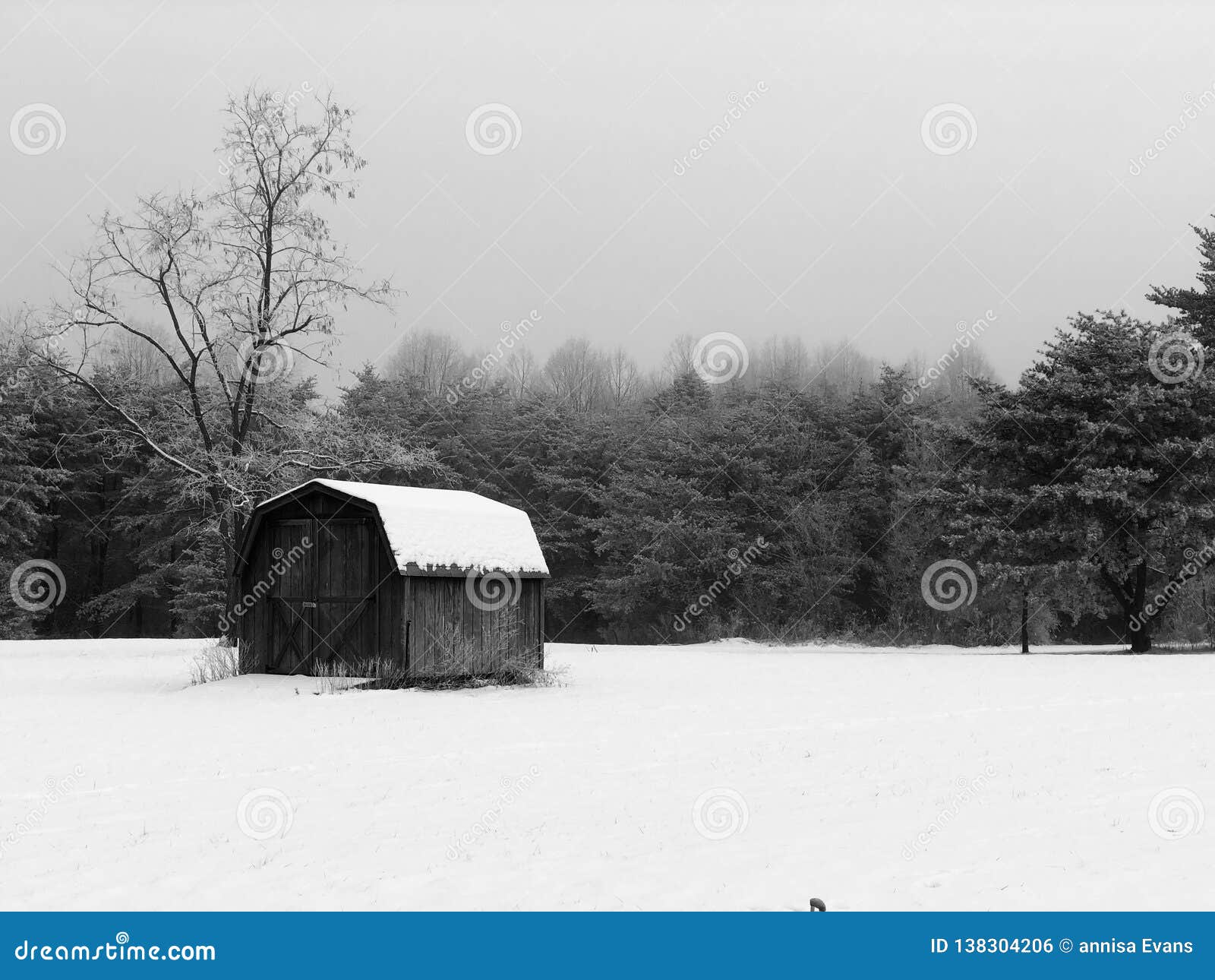 Shack stock photo. Image of trees, snow, winter, shack - 138304206