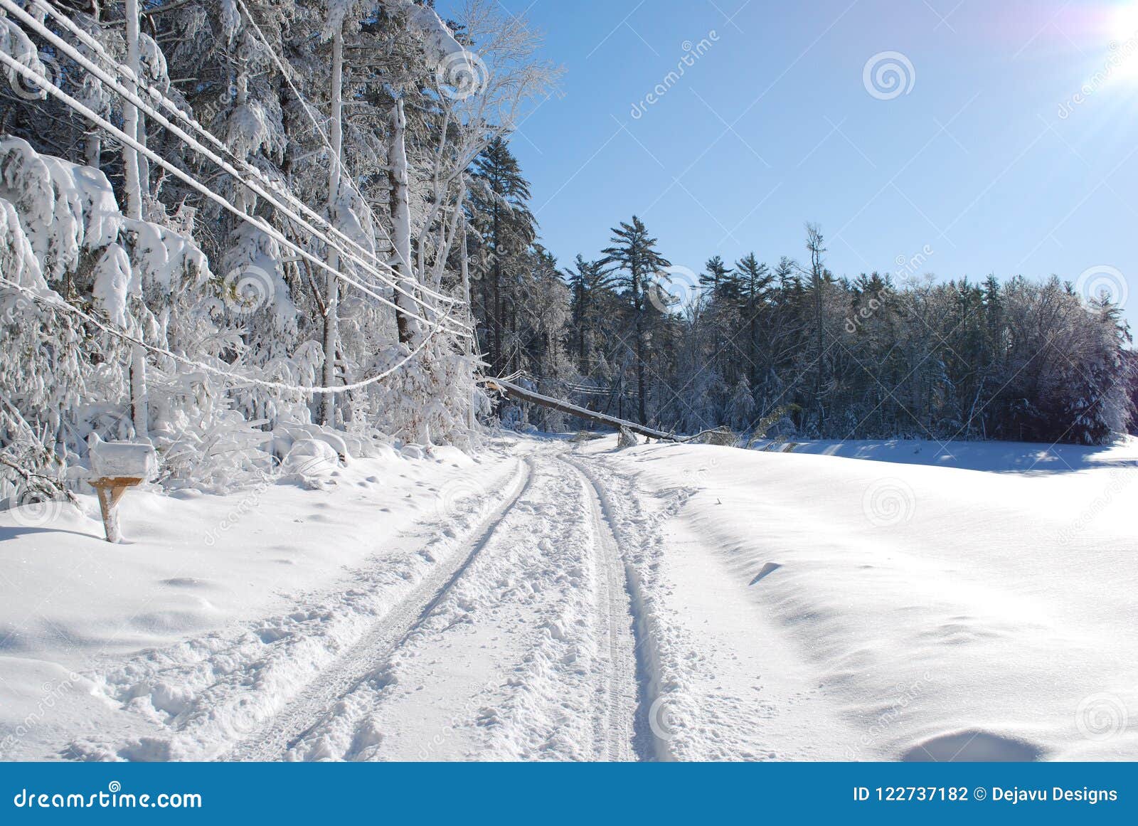 Winter Snow Storm Causing Large Amounts of Damage Stock Photo - Image ...