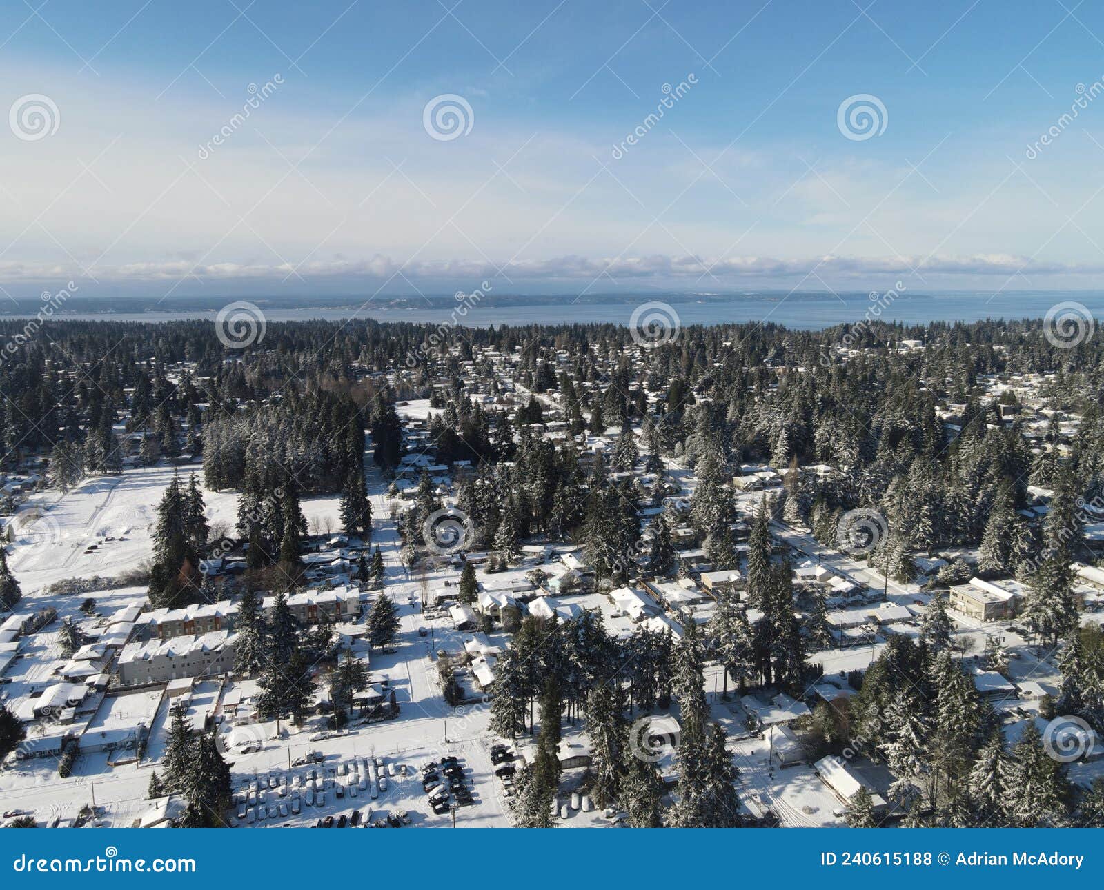 Winter Snow Storm Edmonds Washington Stock Photo - Image of winter ...