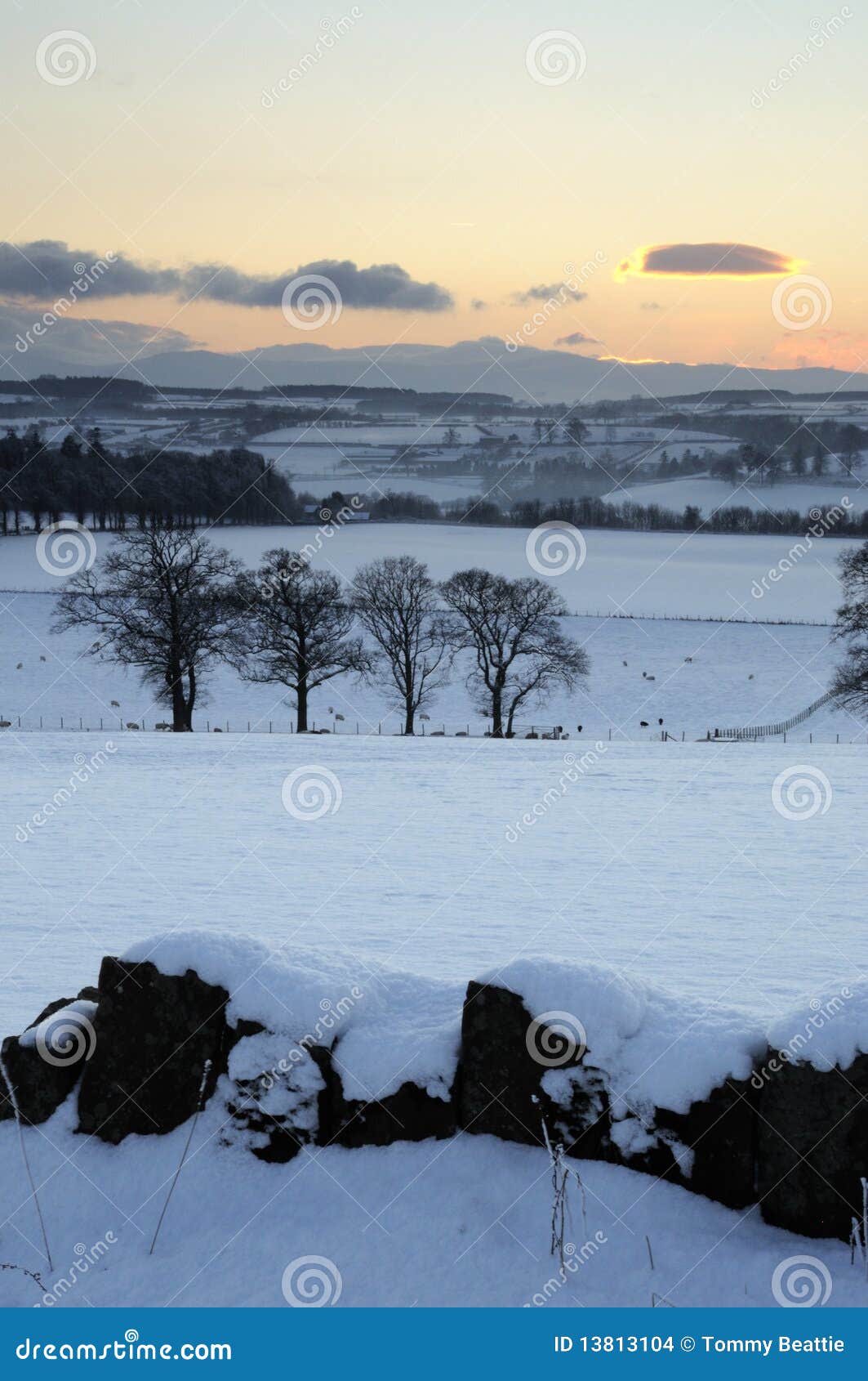 Winter Snow Sunset stock photo. Image of snow, view, dusk - 13813104