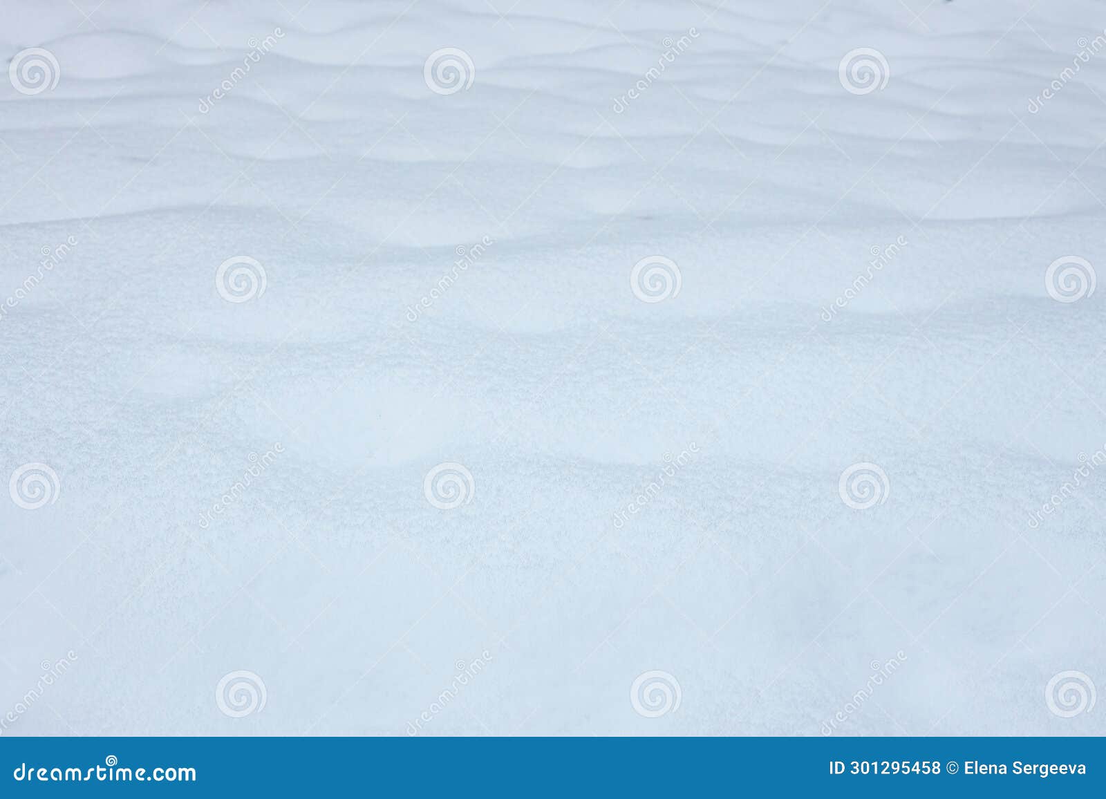Winter Snow Texture on the Field, White Thick.snow Cover Stock Photo ...