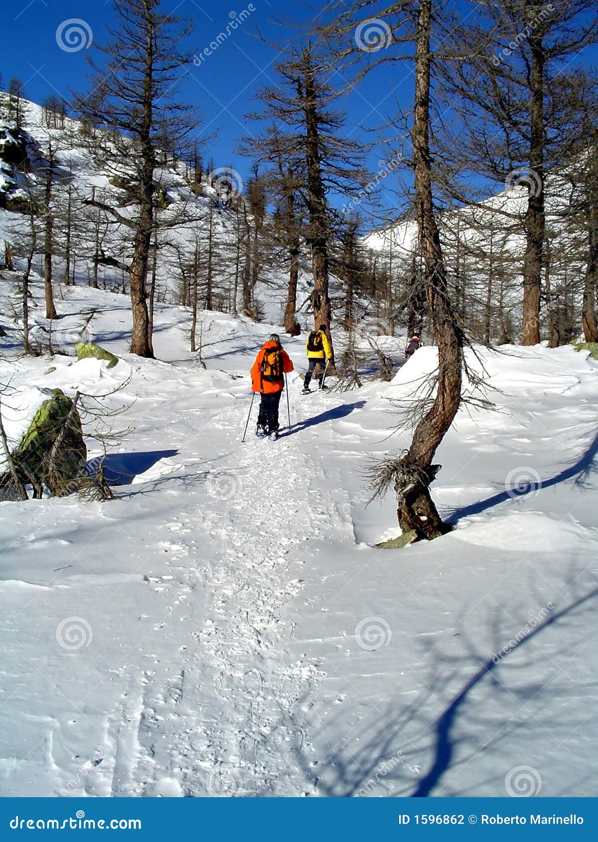 Winter snow trekking stock photo. Image of paradise, christmas - 1596862 Winter snow trekking stock photo. Image of paradise, christmas - 1596862