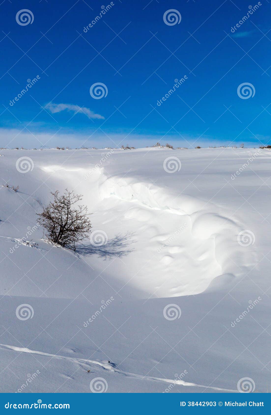 Winter Snowdrift stock image. Image of wyoming, plants - 38442903